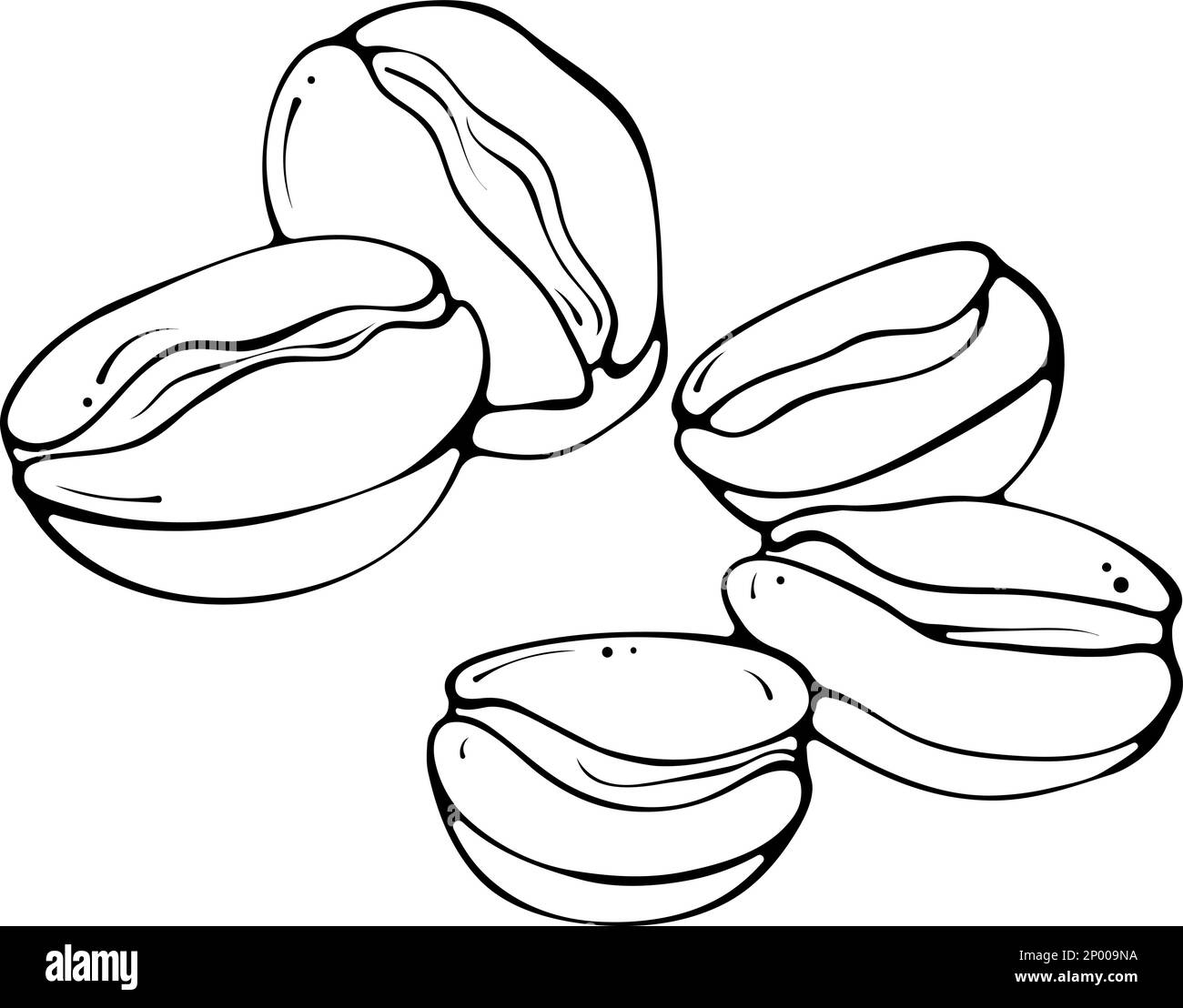 Coffee beans line art Stock Vector Image & Art - Alamy
