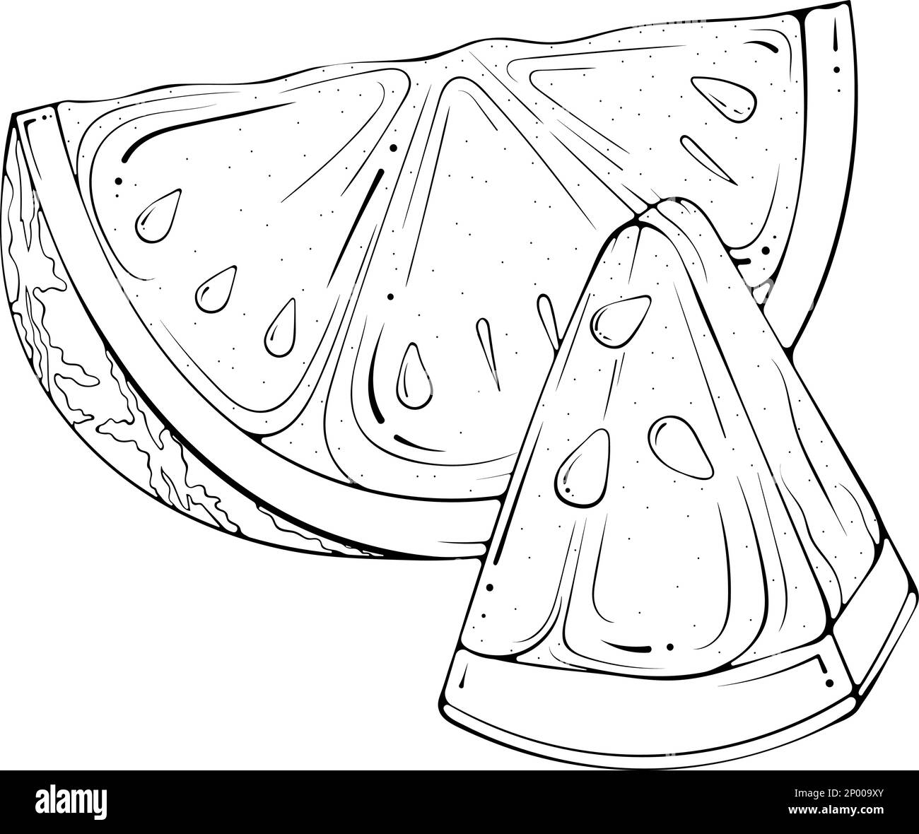 Half a watermelon slices with seeds line art Stock Vector Image & Art ...