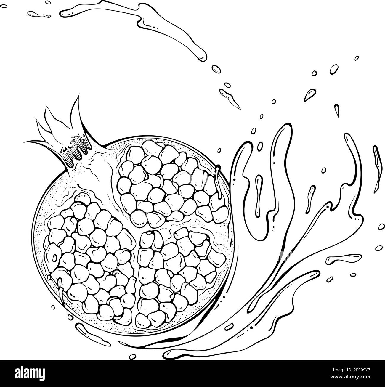 Half pomegranate with splash line art Stock Vector Image & Art - Alamy
