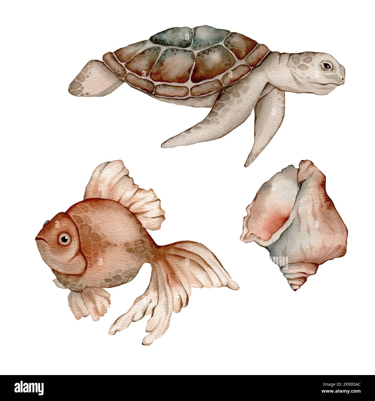 Set of sea animals poster. Blue, greeen, brown watercolor ocean ...