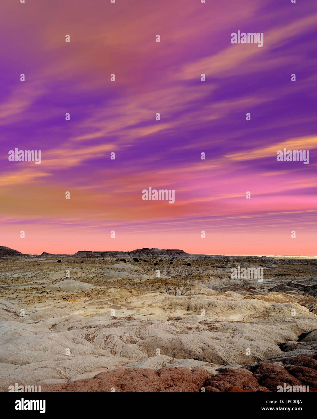 Scenic landscape of the ancient petrified forest in Arizona Stock Photo ...