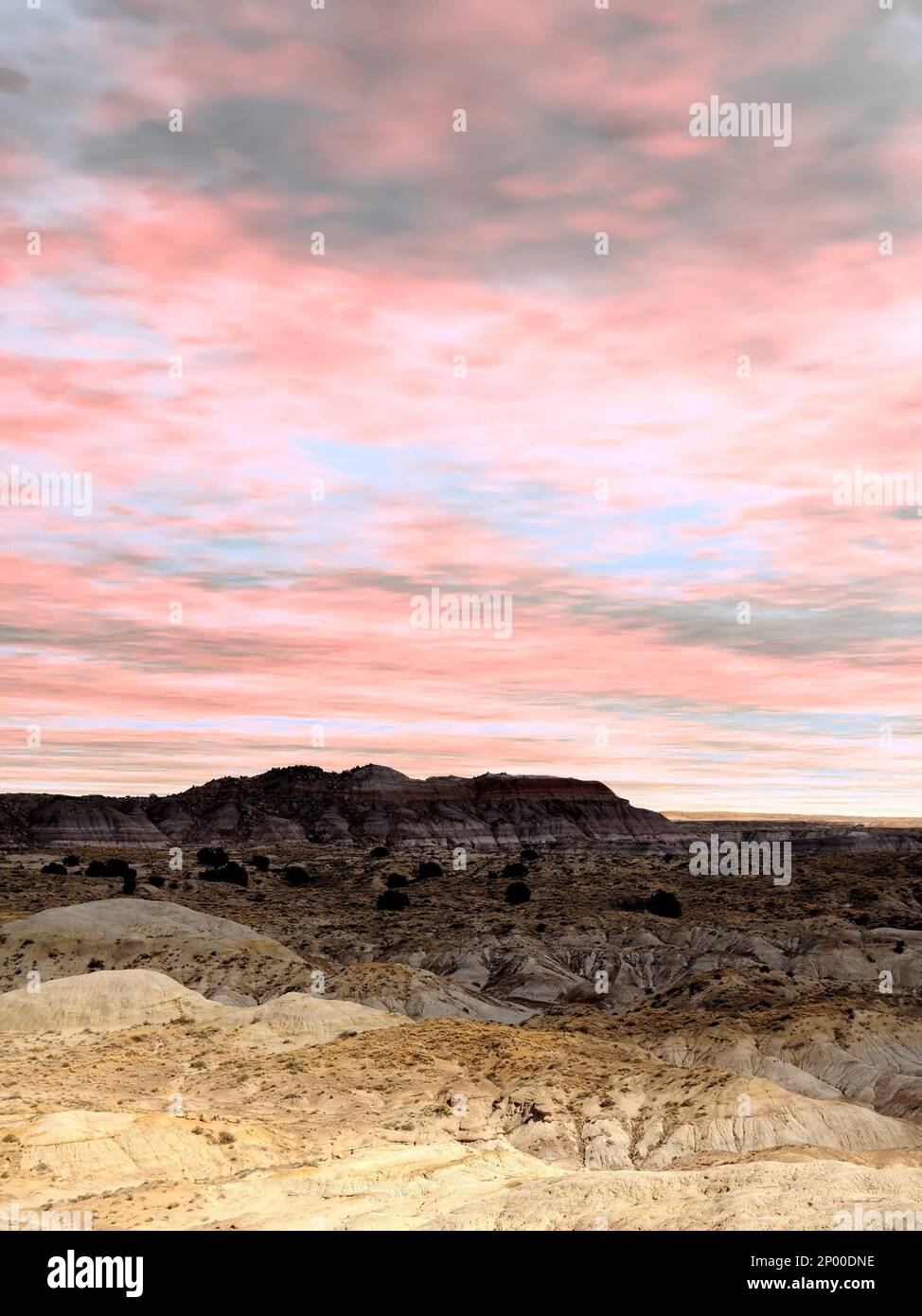 Scenic landscape of the ancient petrified forest in Arizona Stock Photo ...