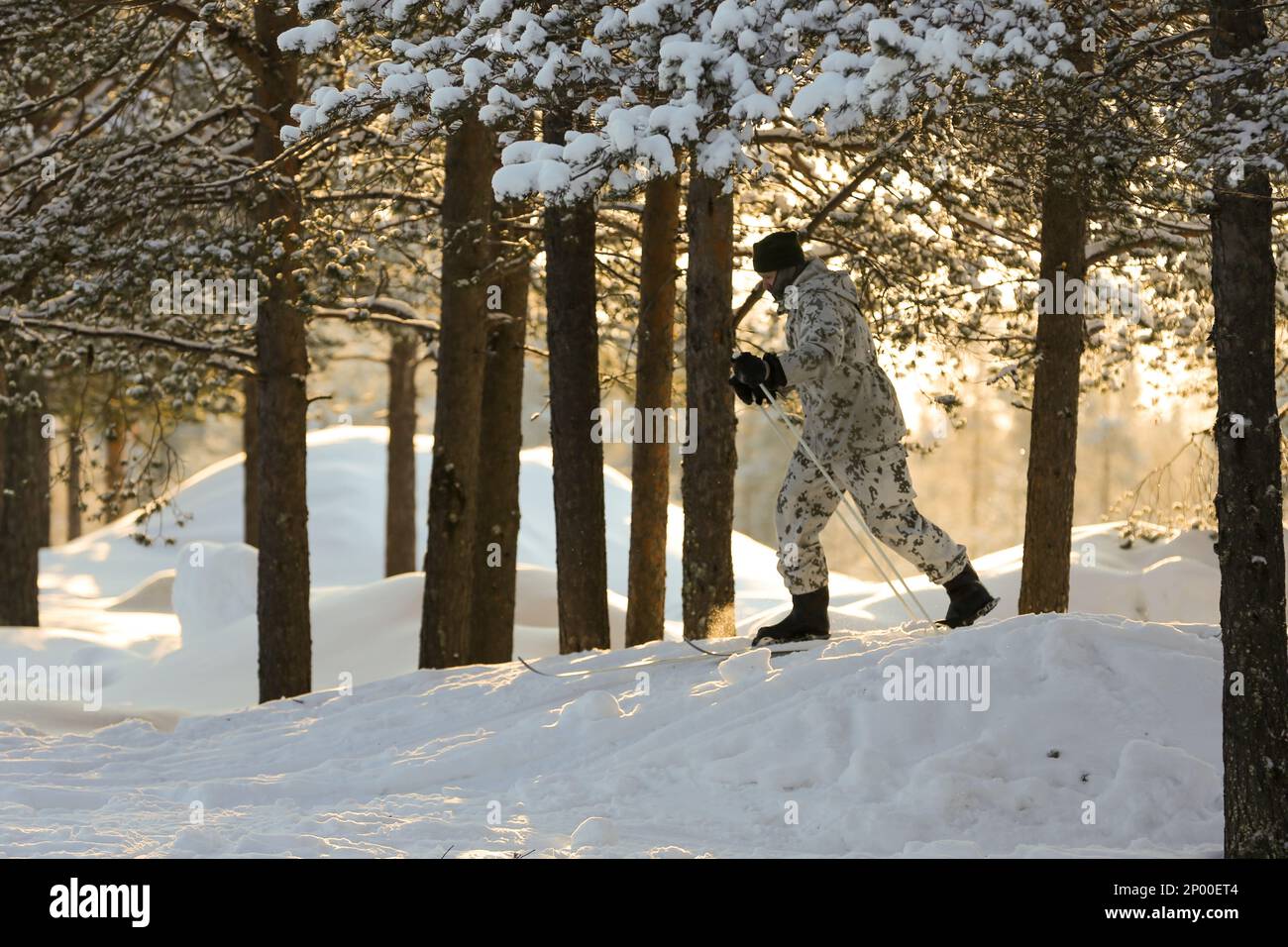 A Finnish army soldiers progresses through the ski obstacle course ...