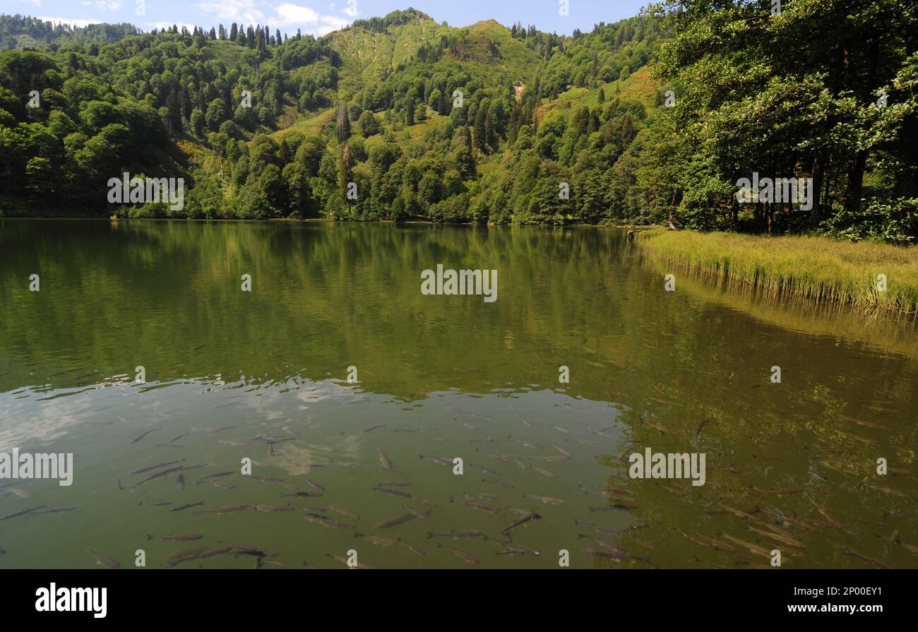 Karagol lake hi-res stock photography and images - Alamy