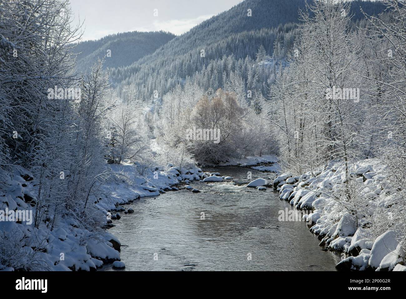 Small river flows hi-res stock photography and images - Alamy