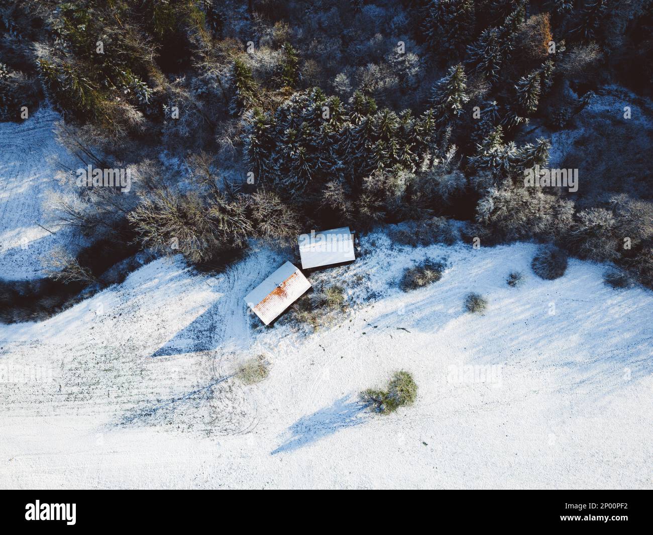 Top down view of two small houses on the edge of a forest, grounds ...