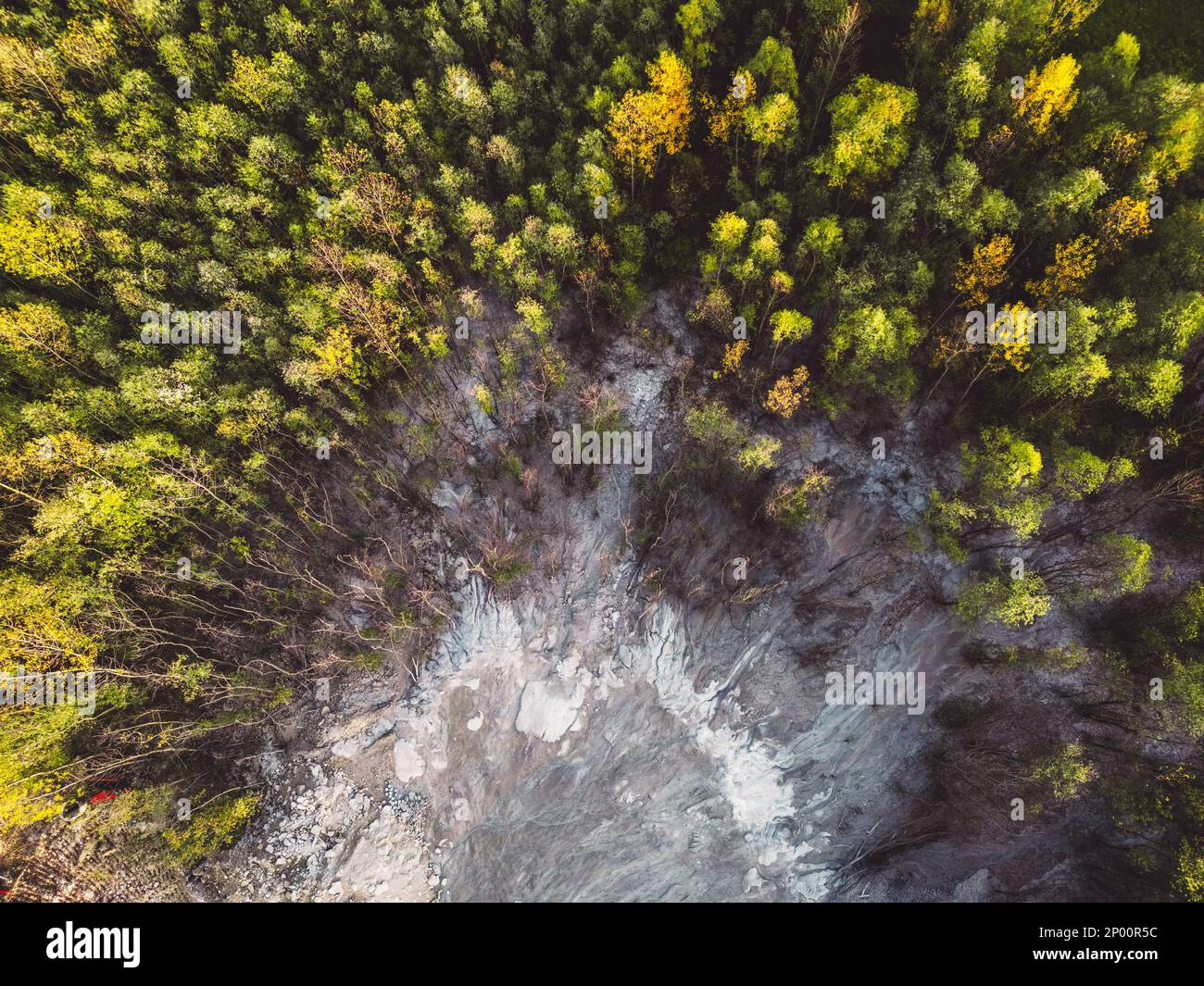 Top down view of a forest on top of the hill being dug out on one side ...