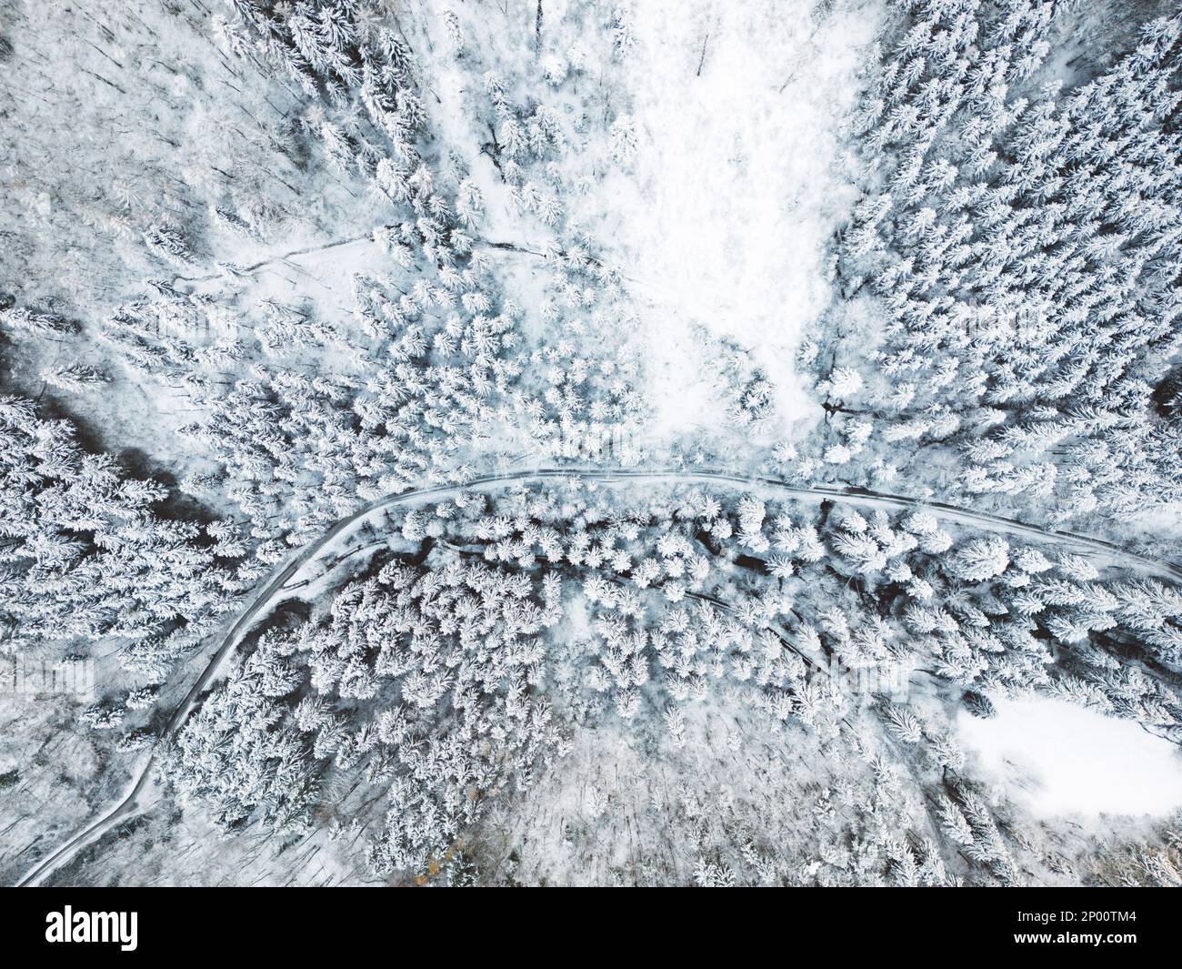 Top down view of an empty road trough snowy winter forest Stock Photo ...