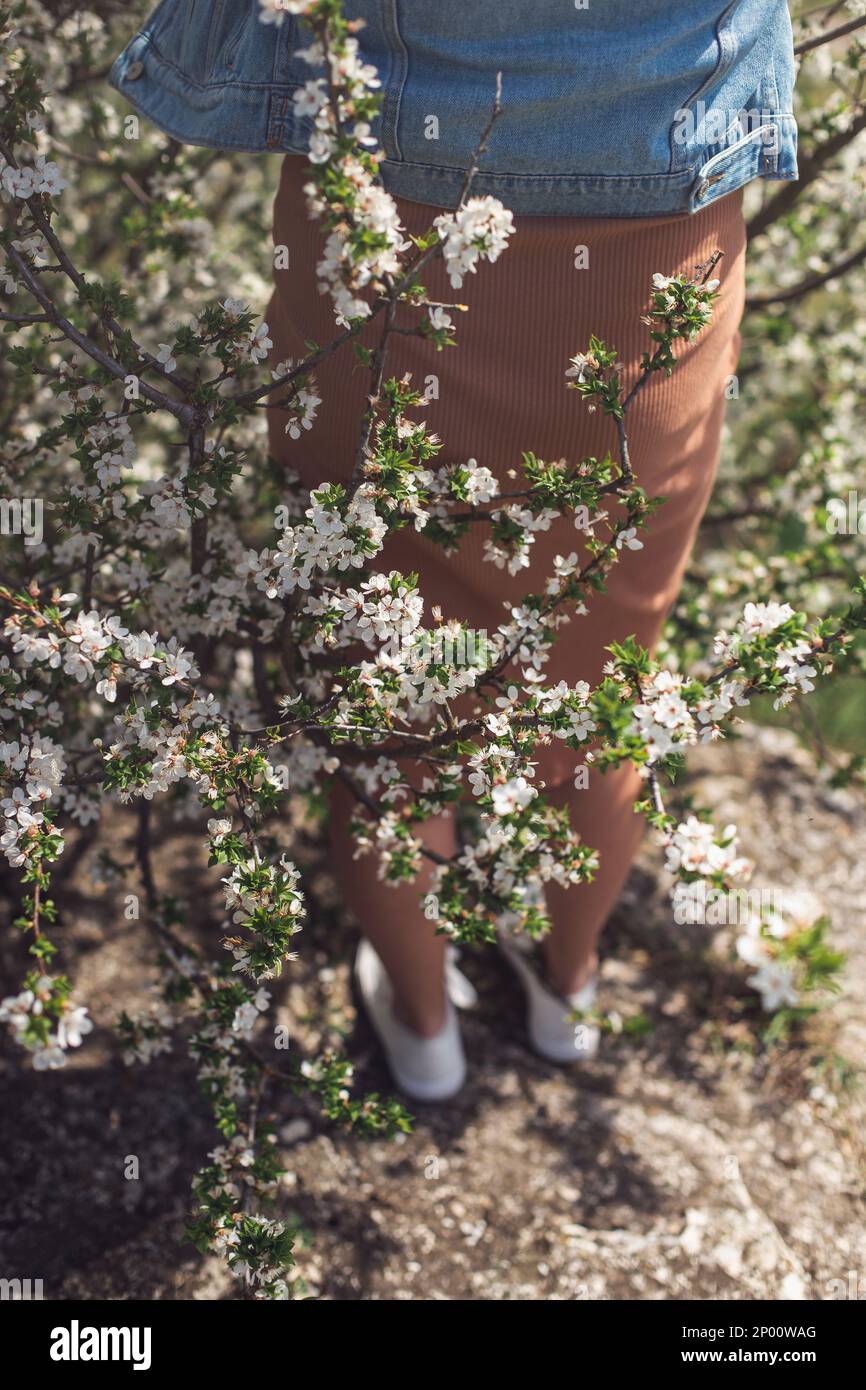 Female feet in a white sneakers among blossoming trees in a blooming ...