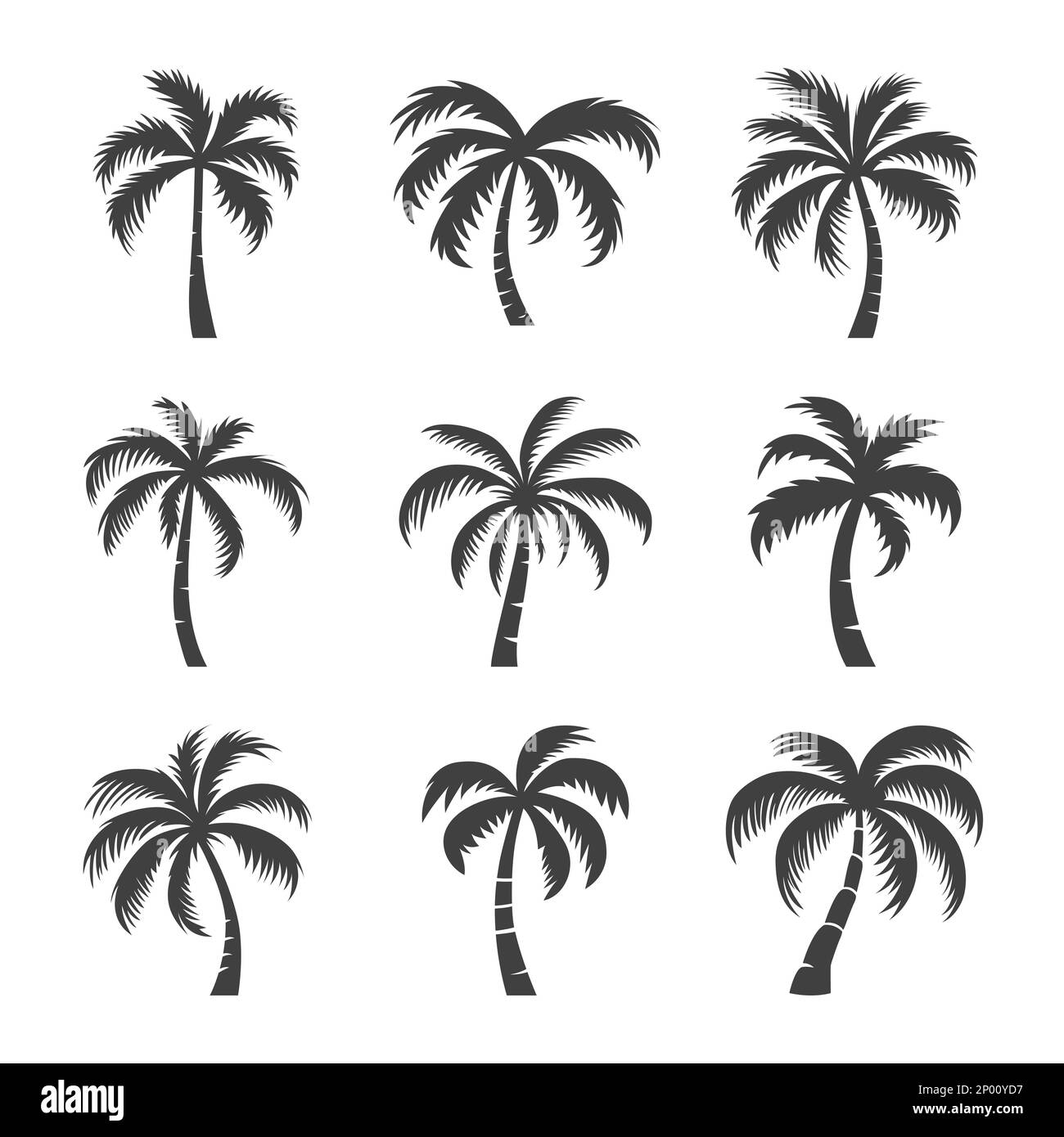 Vector Palm Trees, Palm Tree Icon Set Isolated. Palm Silhouettes ...