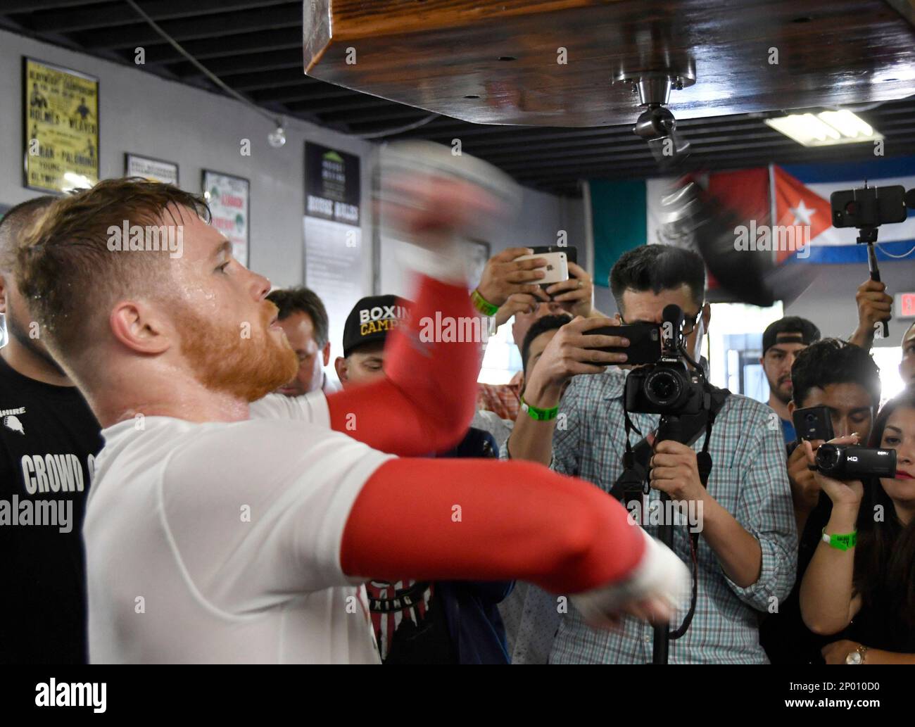 April 19,2017. San Diego CA. Former Two-Division World Champion Canelo ...