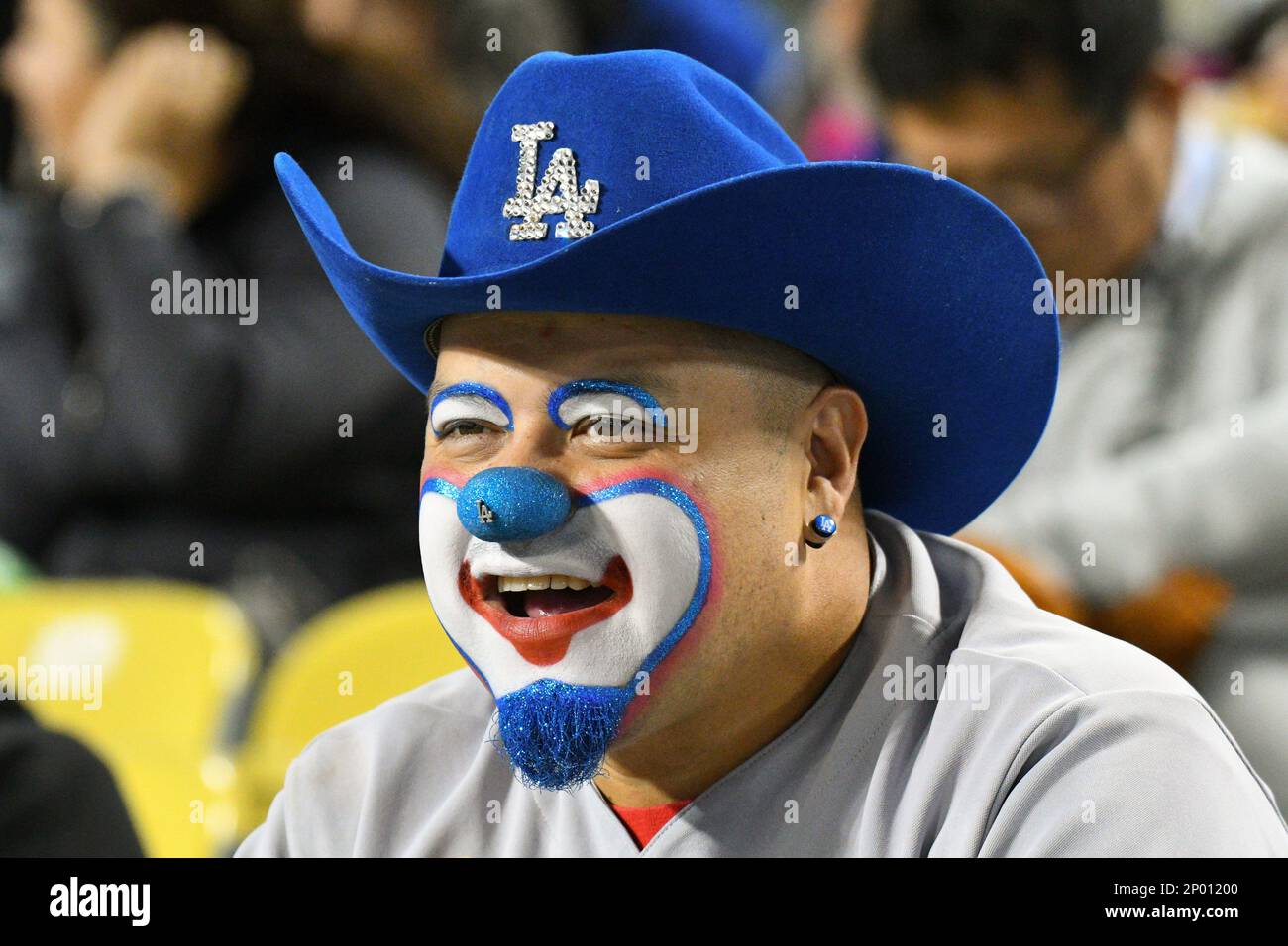 LOS ANGELES, CA - APRIL 14: A Los Angeles Dodgers fan looks on during ...