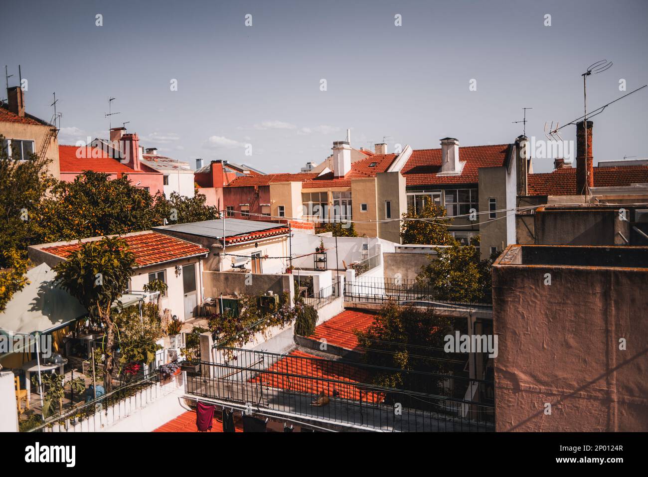 A stunning summer neighborhood where houses have orange roofs, lush ...