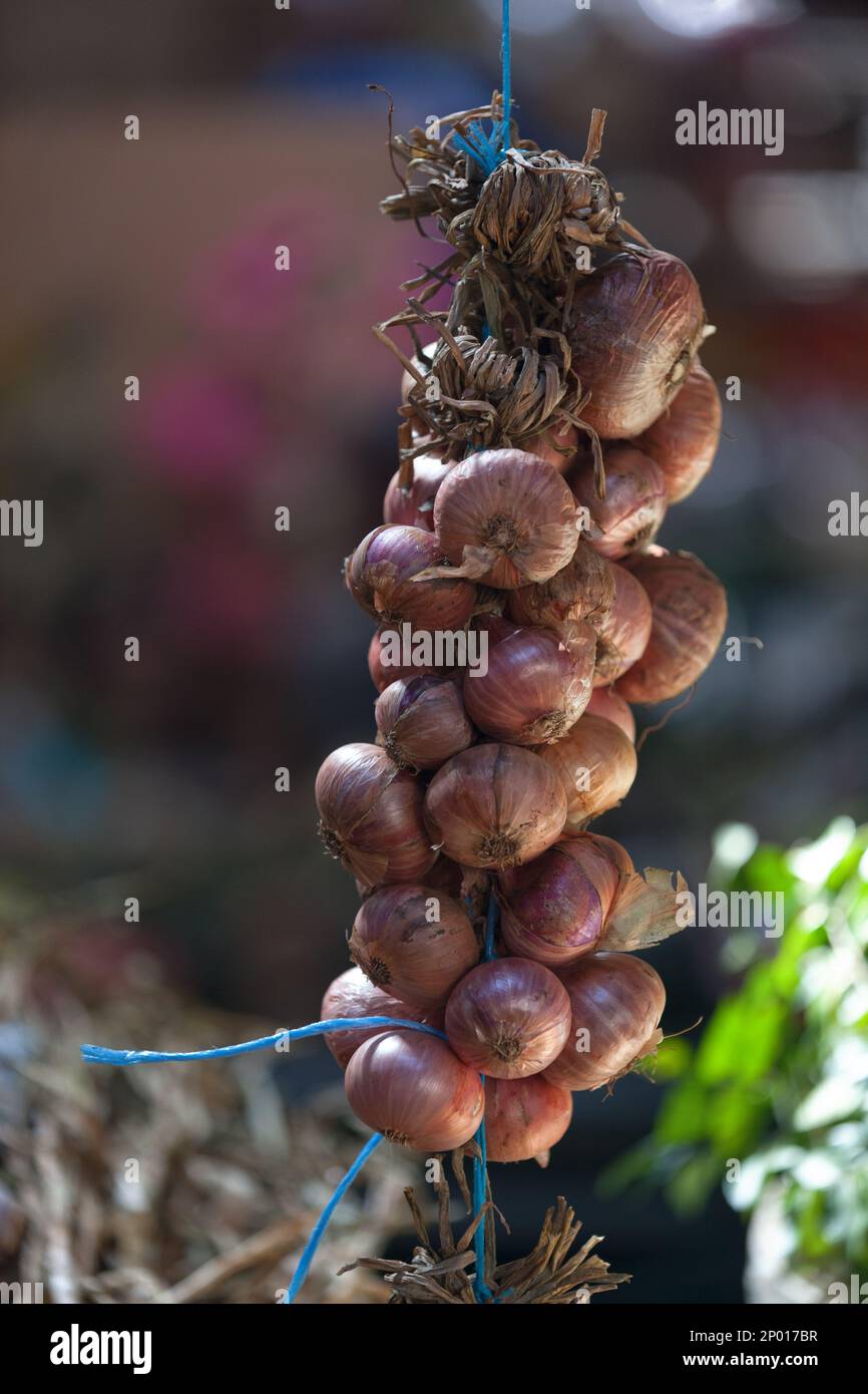 String of onion hi-res stock photography and images - Alamy