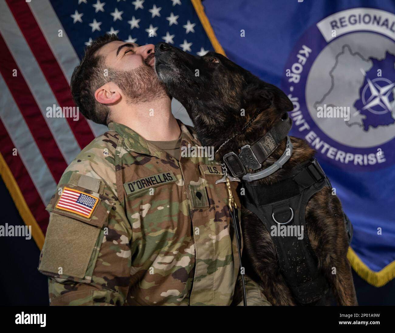 Ddunn, a patrol and explosive detector Dutch Shepherd, and his handler ...