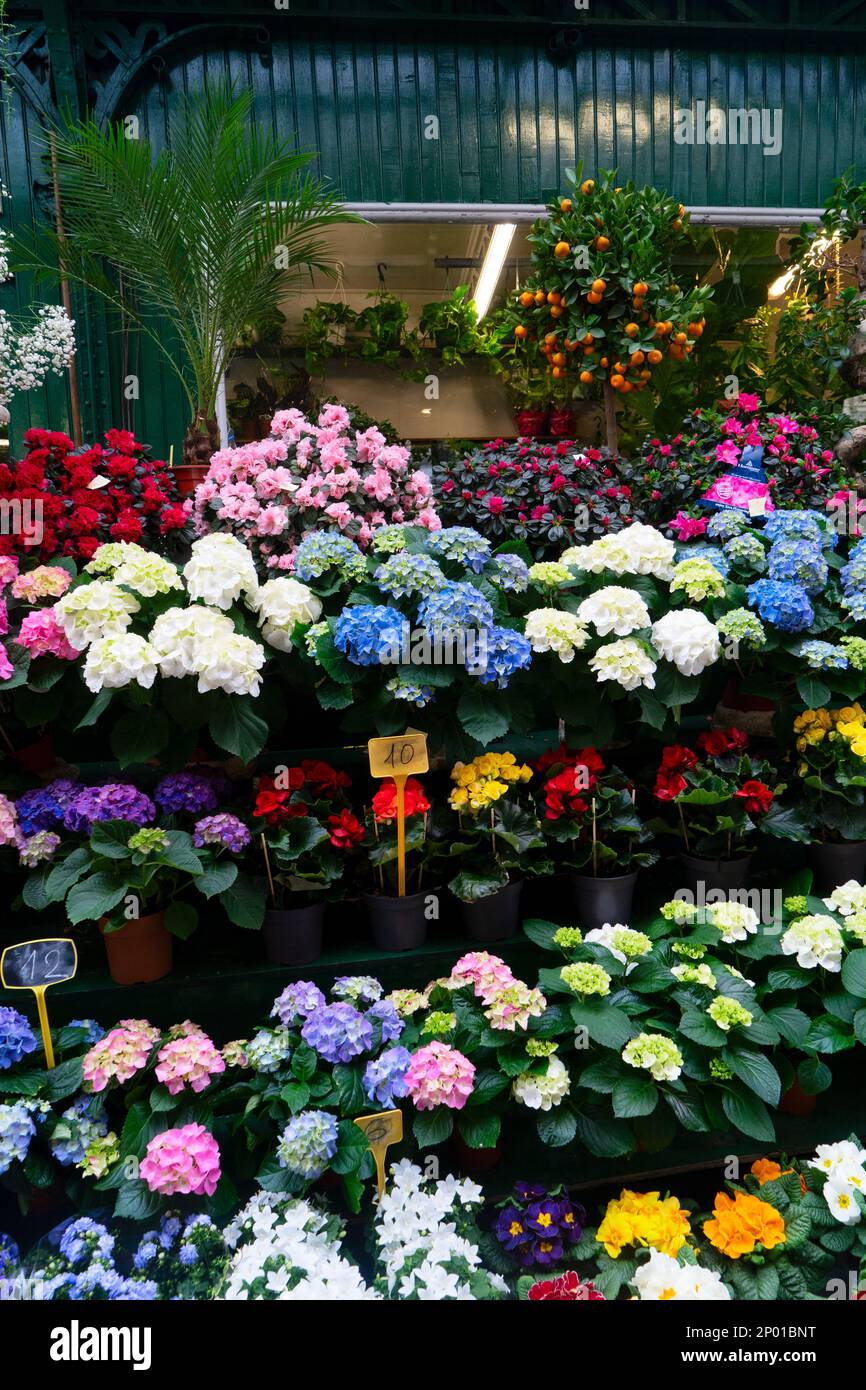 Rose market vintage paris hi-res stock photography and images - Alamy