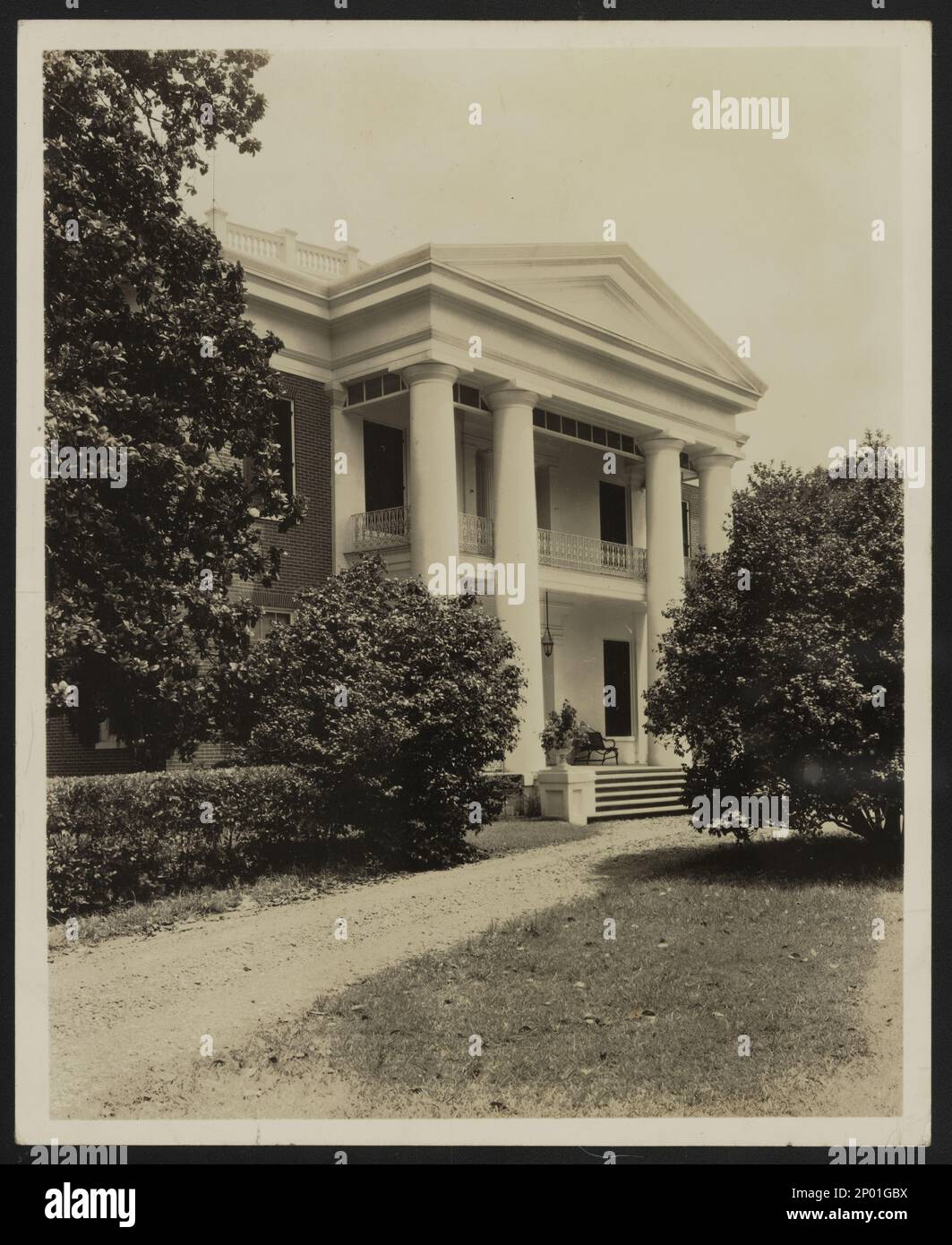 Melrose, Natchez, Adams County, Mississippi. Carnegie Survey of the ...