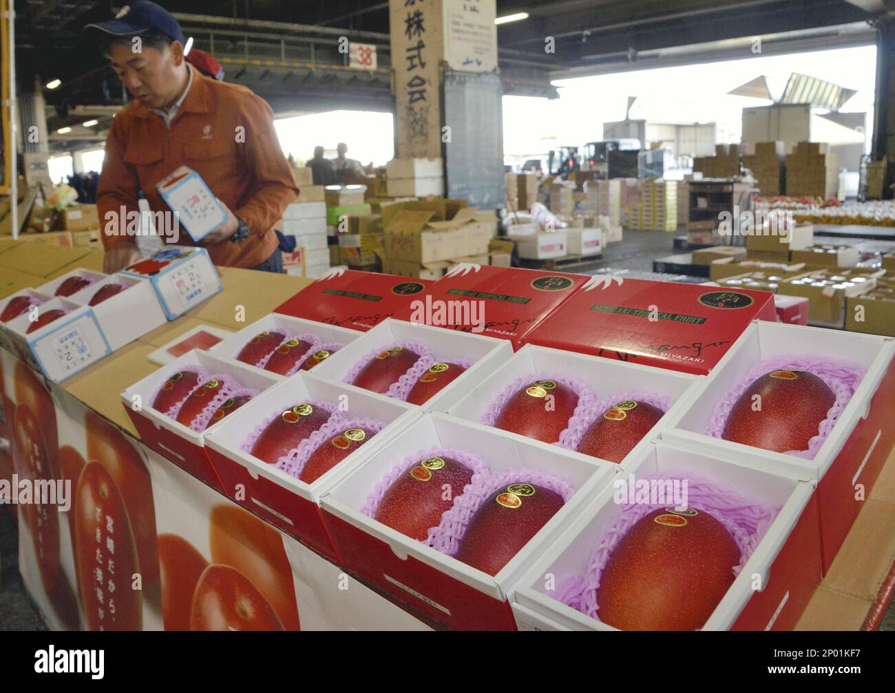 Auction of the year starts at Miyazaki wholesale market in Miyazaki ...