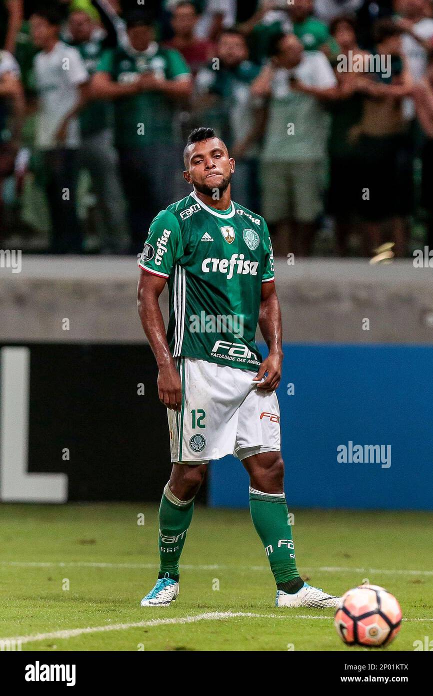 SP - Sao Paulo - 12/04/2017 - Libertadores 2017 - Palmeiras X Penarol ...
