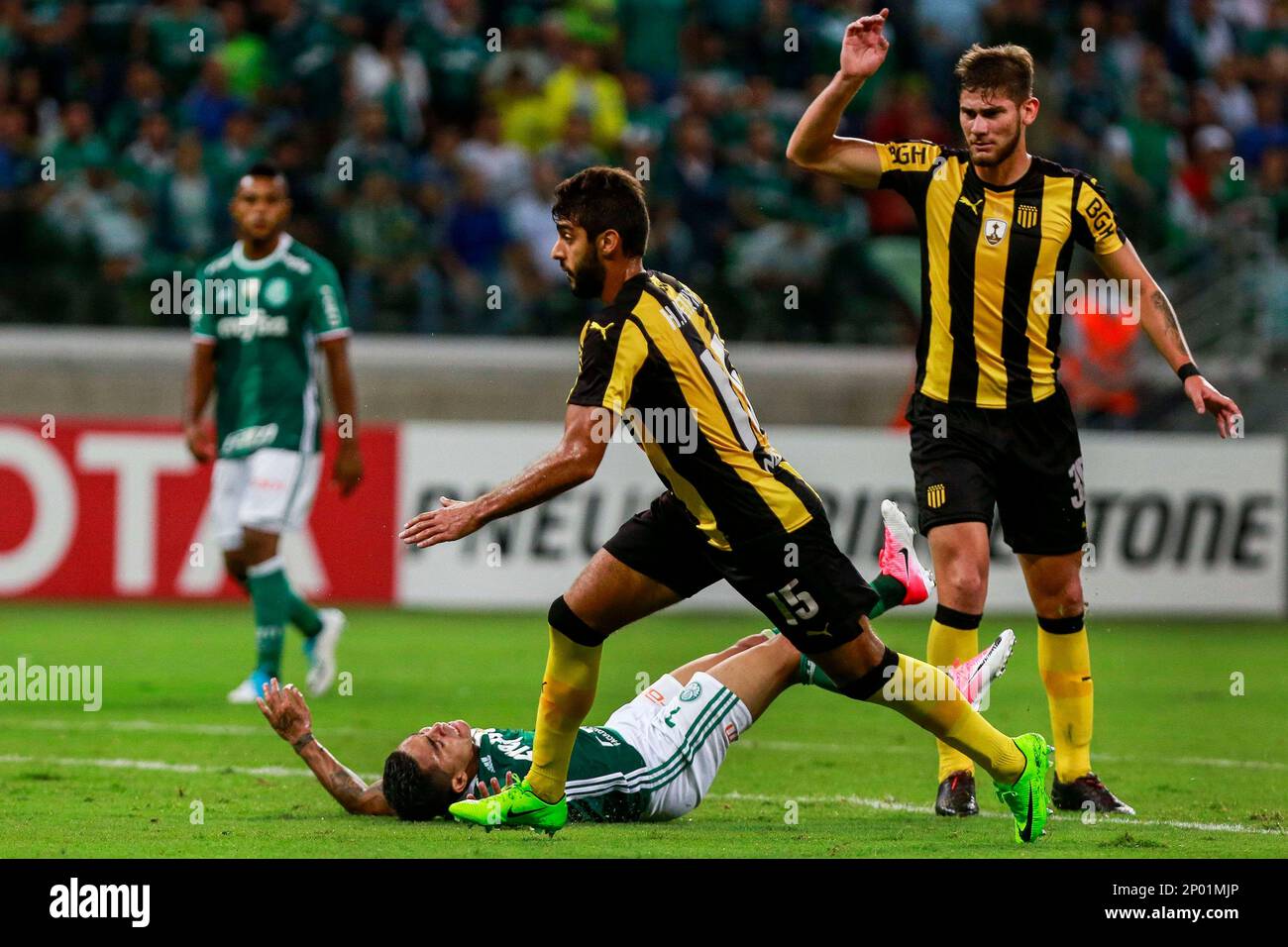 SP - Sao Paulo - 12/04/2017 - Libertadores 2017 - Palmeiras X Penarol ...