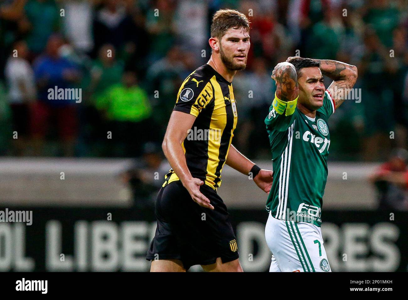 SP - Sao Paulo - 12/04/2017 - Libertadores 2017 - Palmeiras X Penarol ...