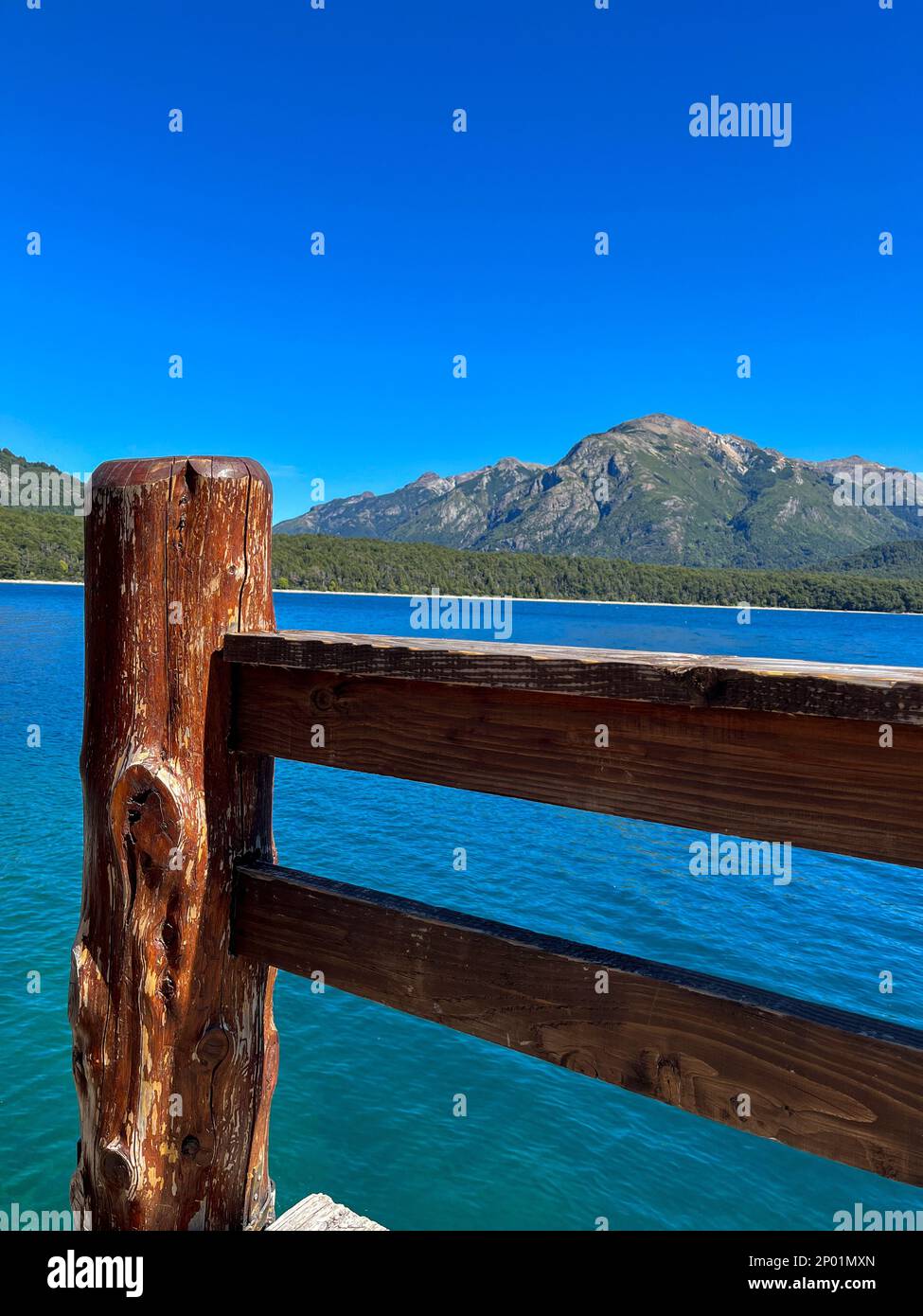 Mapuche tree hi-res stock photography and images - Alamy