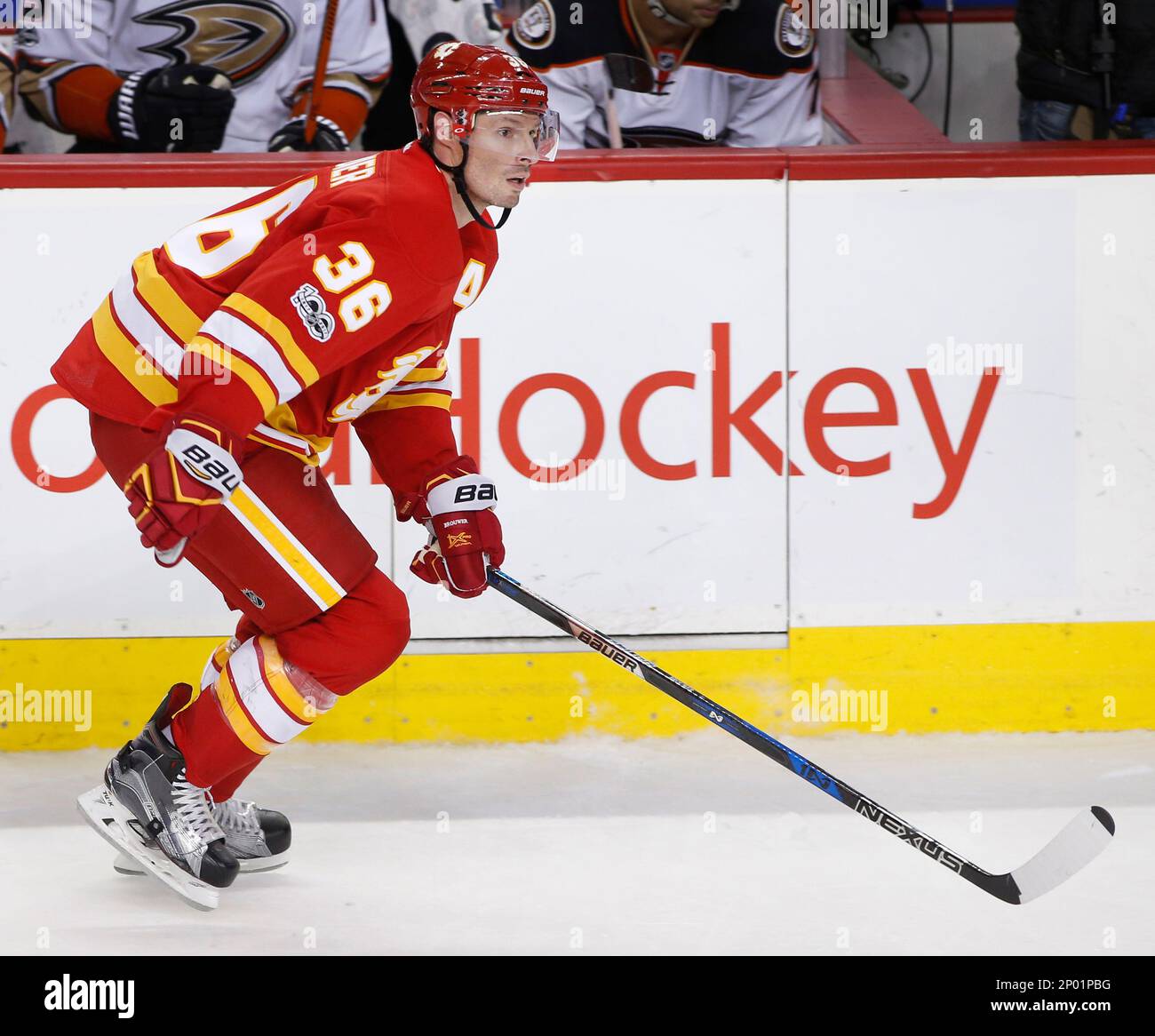 NHL profile photo on Calgary Flames player Troy Brouwer at a game ...