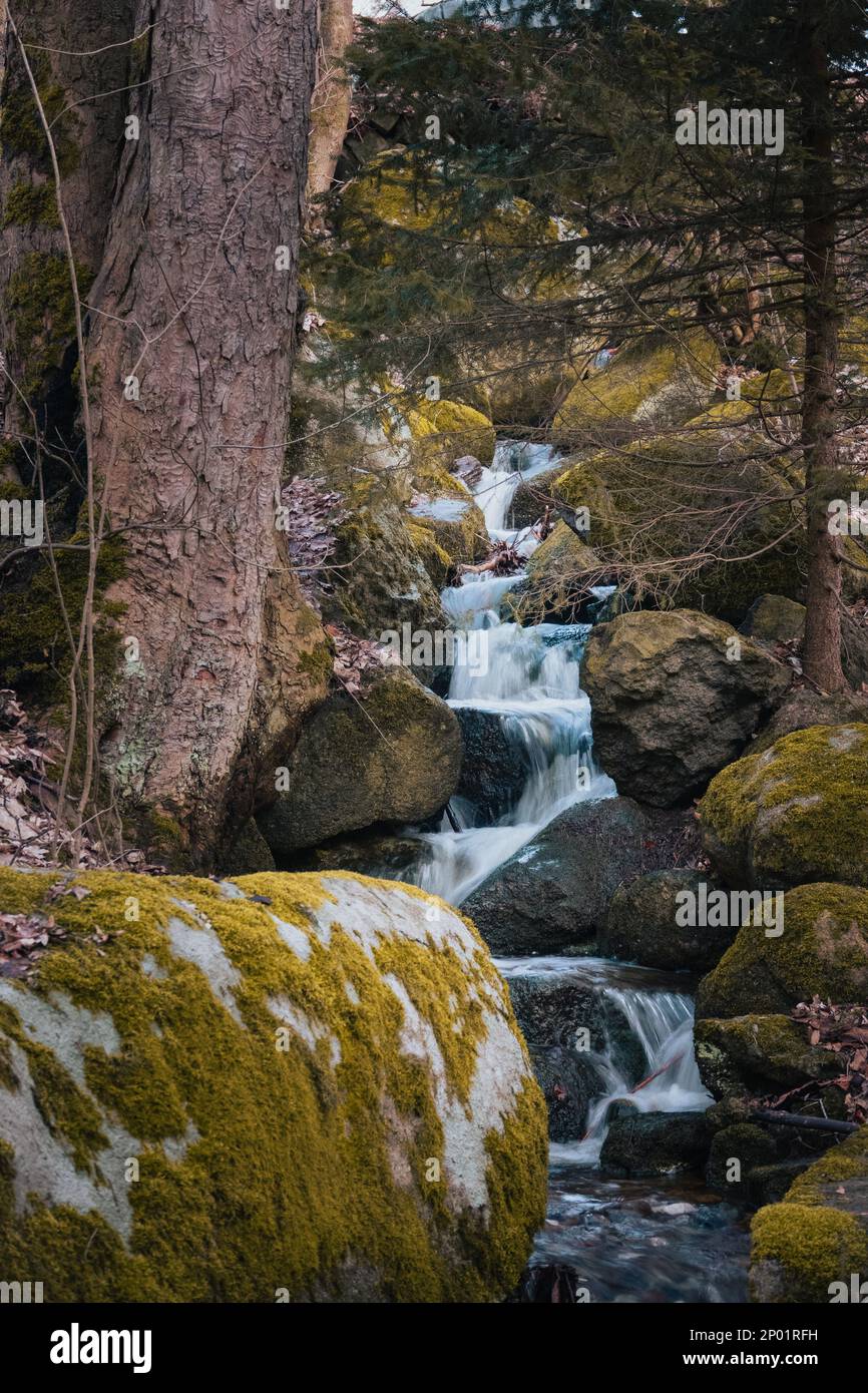 Depicted is a small waterfall flowing on small rocks. Around are trees ...