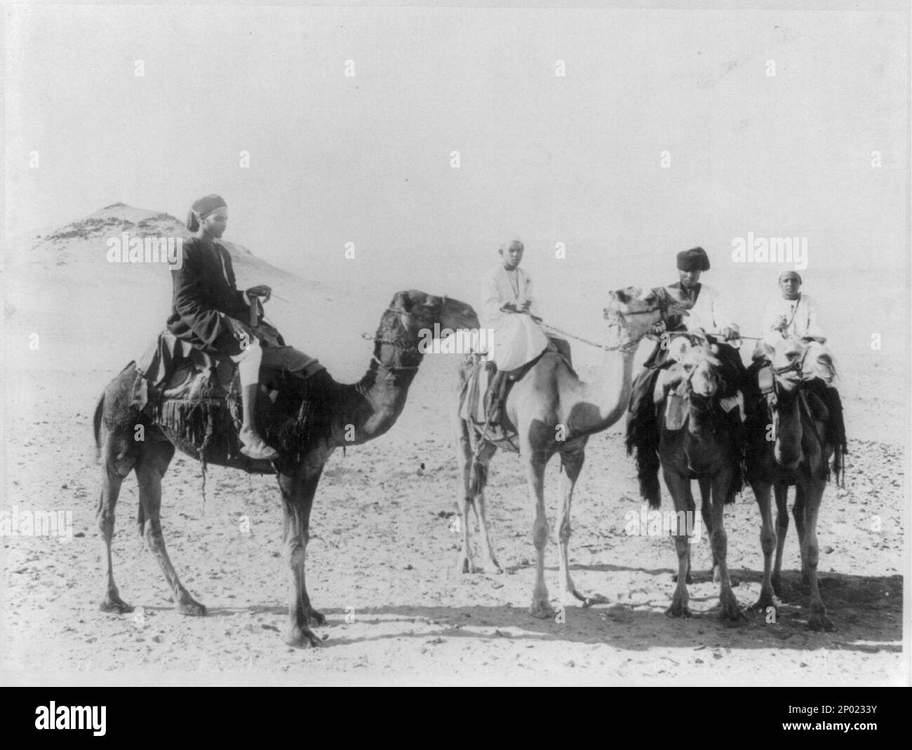 Camel drivers. Egypt, Frank and Frances Carpenter Collection , Caption ...