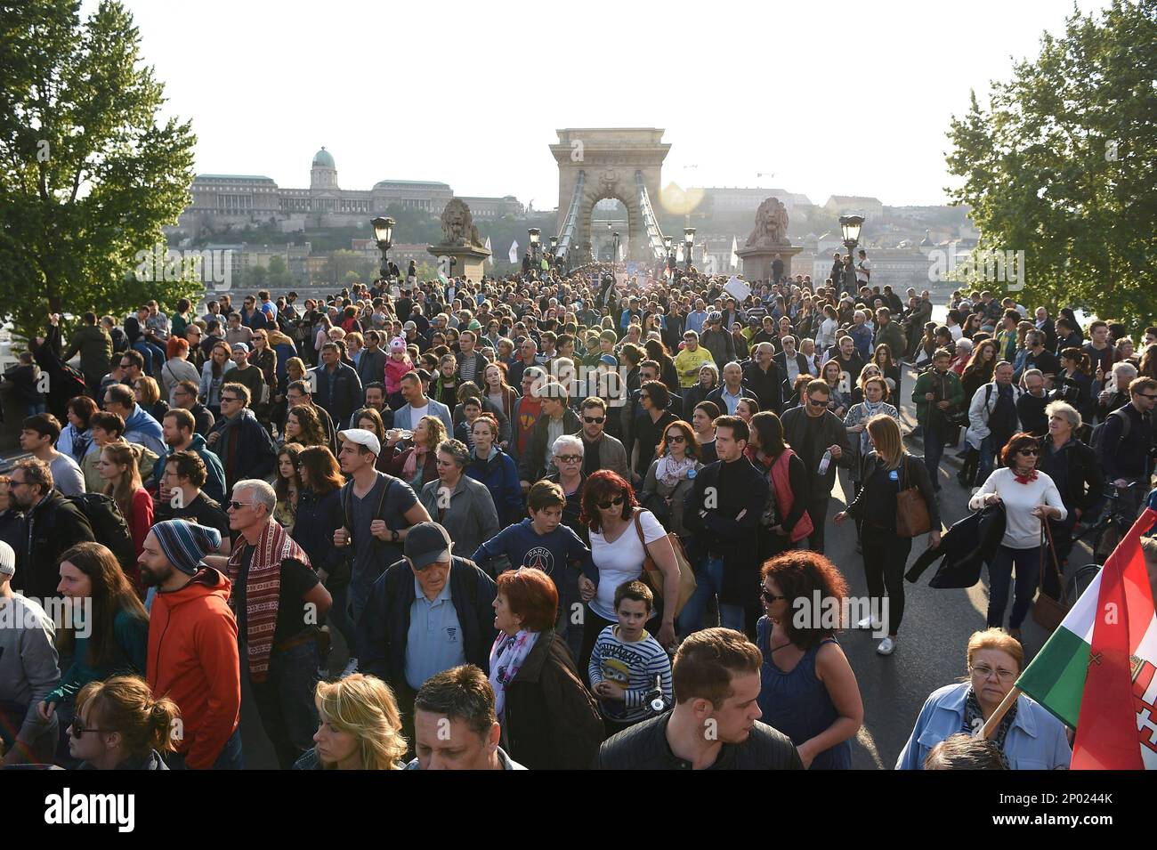 Backdropped by the Chain Bridge and the Royal Palace in the Castle of ...