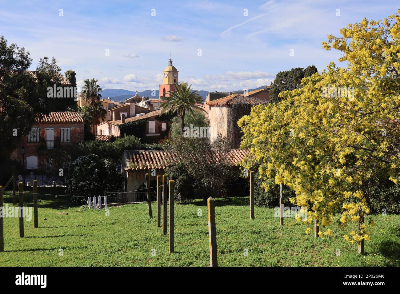 March 02th 2023. Saint-Tropez, France - Weather, summer heat Flowers of ...