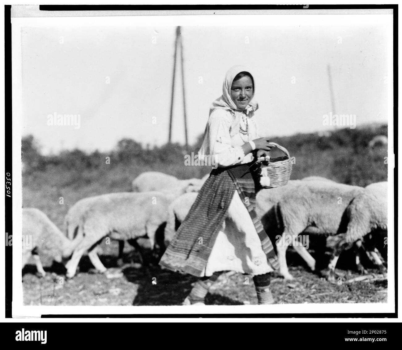 Girl shepherdess with sheep, Bulgaria. Frank and Frances Carpenter ...