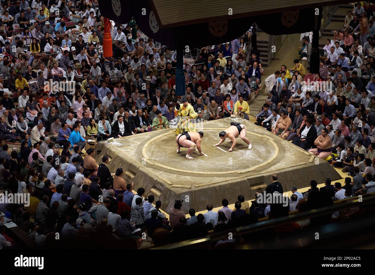 Sumo wrestlers preparing to fight in the wrestling ring at 2013 ...