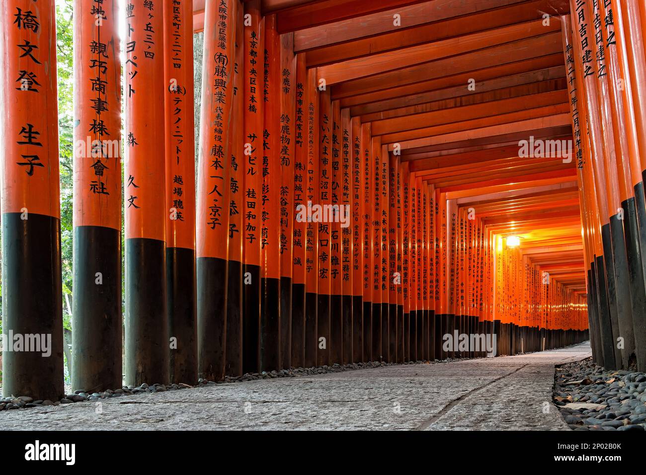 The famous Vermilion Torii Gate at Fushimi Inari Shrine in Kyoto, Japan ...