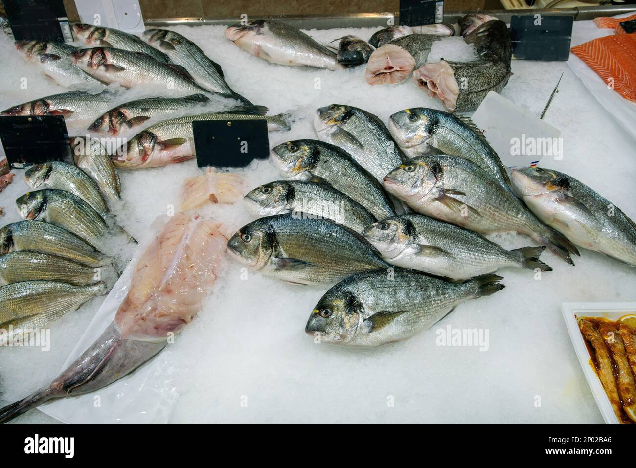 Various varieties of chilled fish in ice include Dorada in store of ...