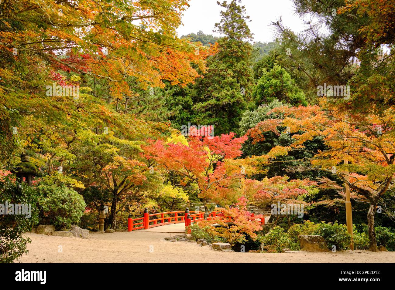 A small red bridge in a wonderful landscape of autumn colour trees in ...