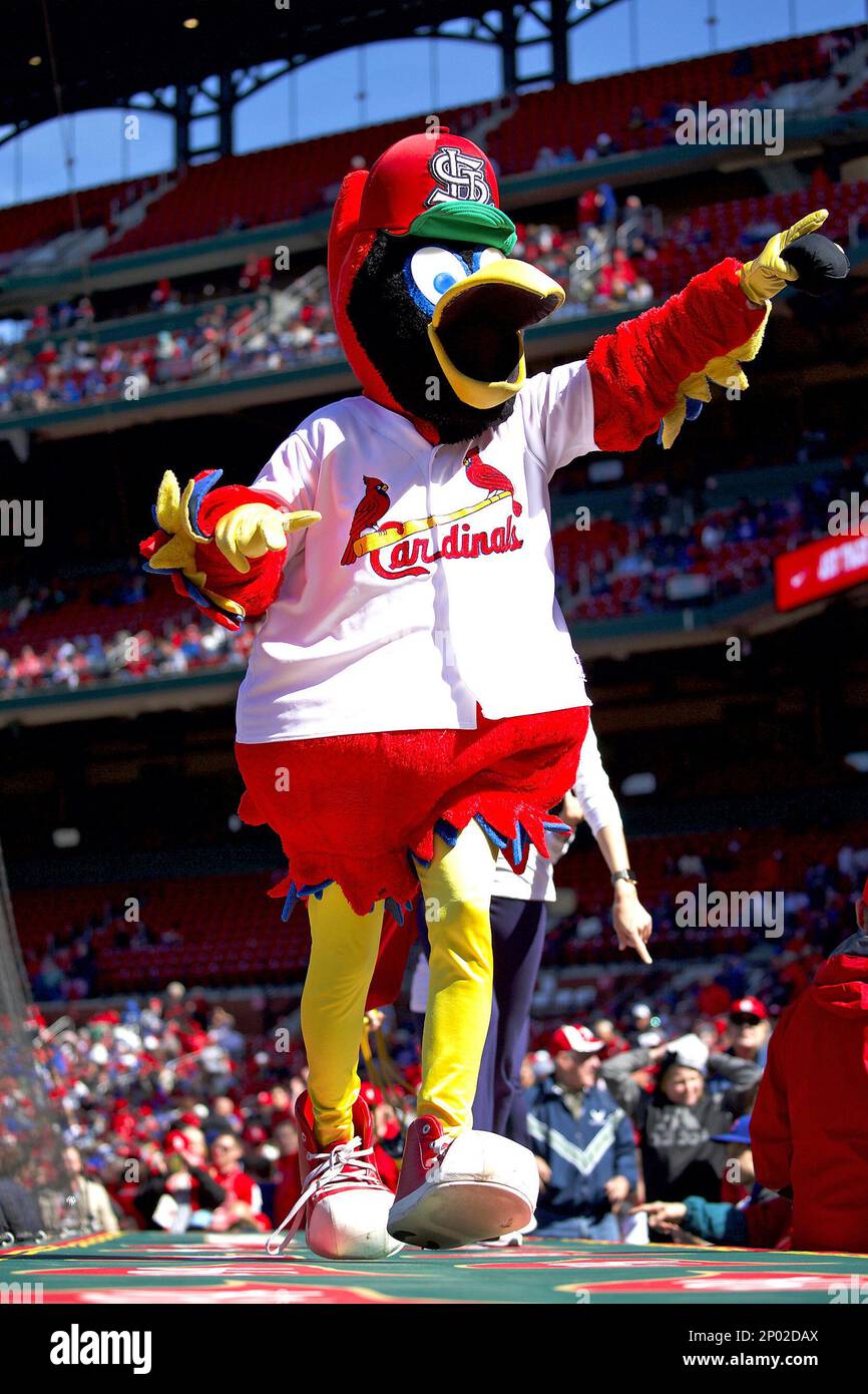 ST. LOUIS, MO - APRIL 06: St. Louis mascot Fredbird as seen during a ...