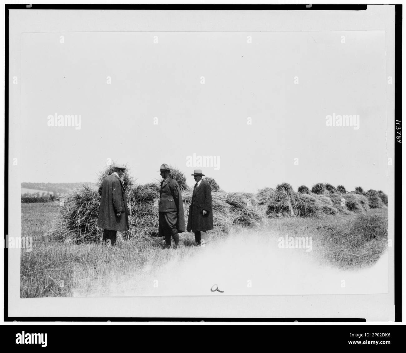Three men in field with stacks of grain, Hungary. Frank and Frances ...