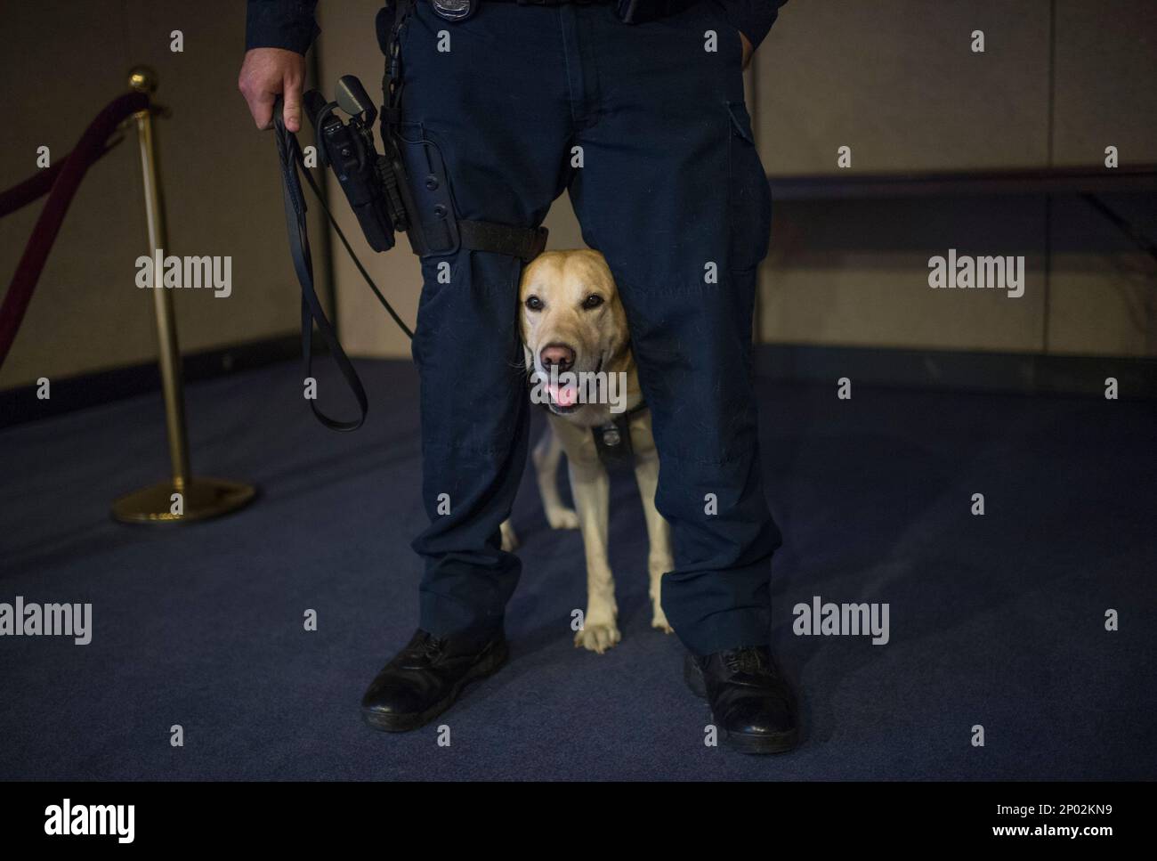 UNITED STATES - APRIL 5: Ladley, of the Amtrak K-9 explosive detection ...