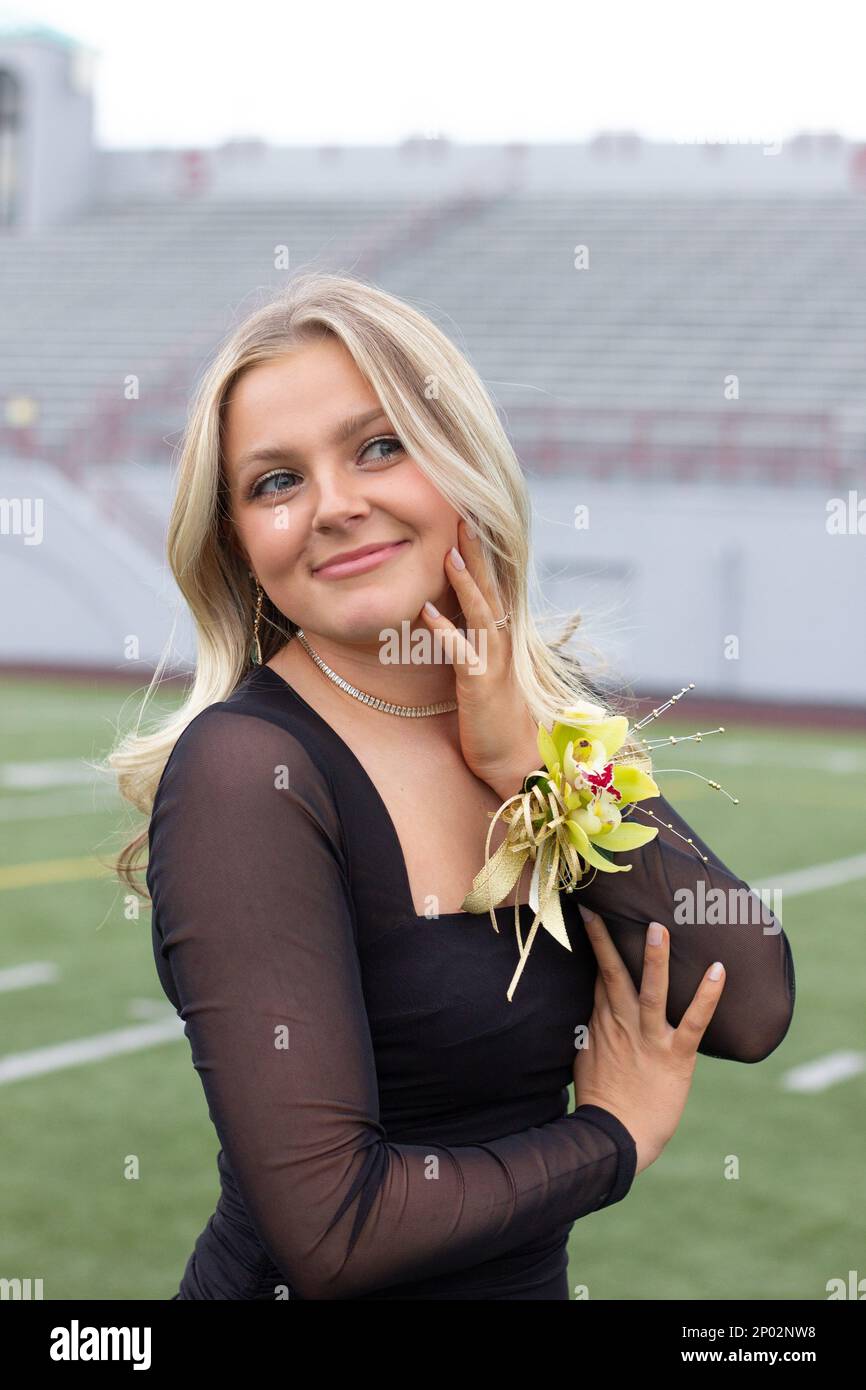 Landscape or Waterscape of Pittsburgh, the City of Bridges at the point ...