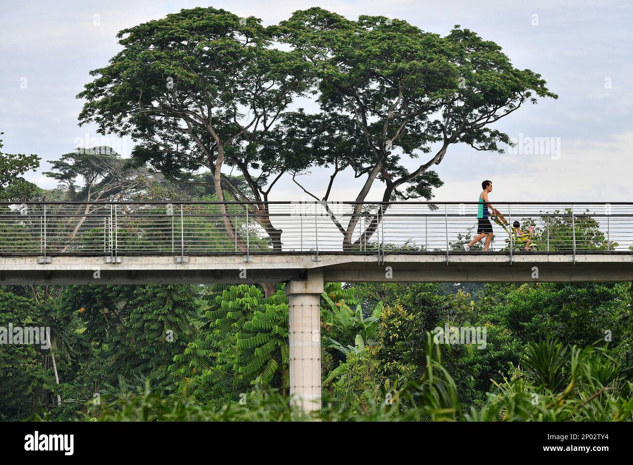 Visitors at the elevated walkway at the Keppel Discovery Wetlands in ...