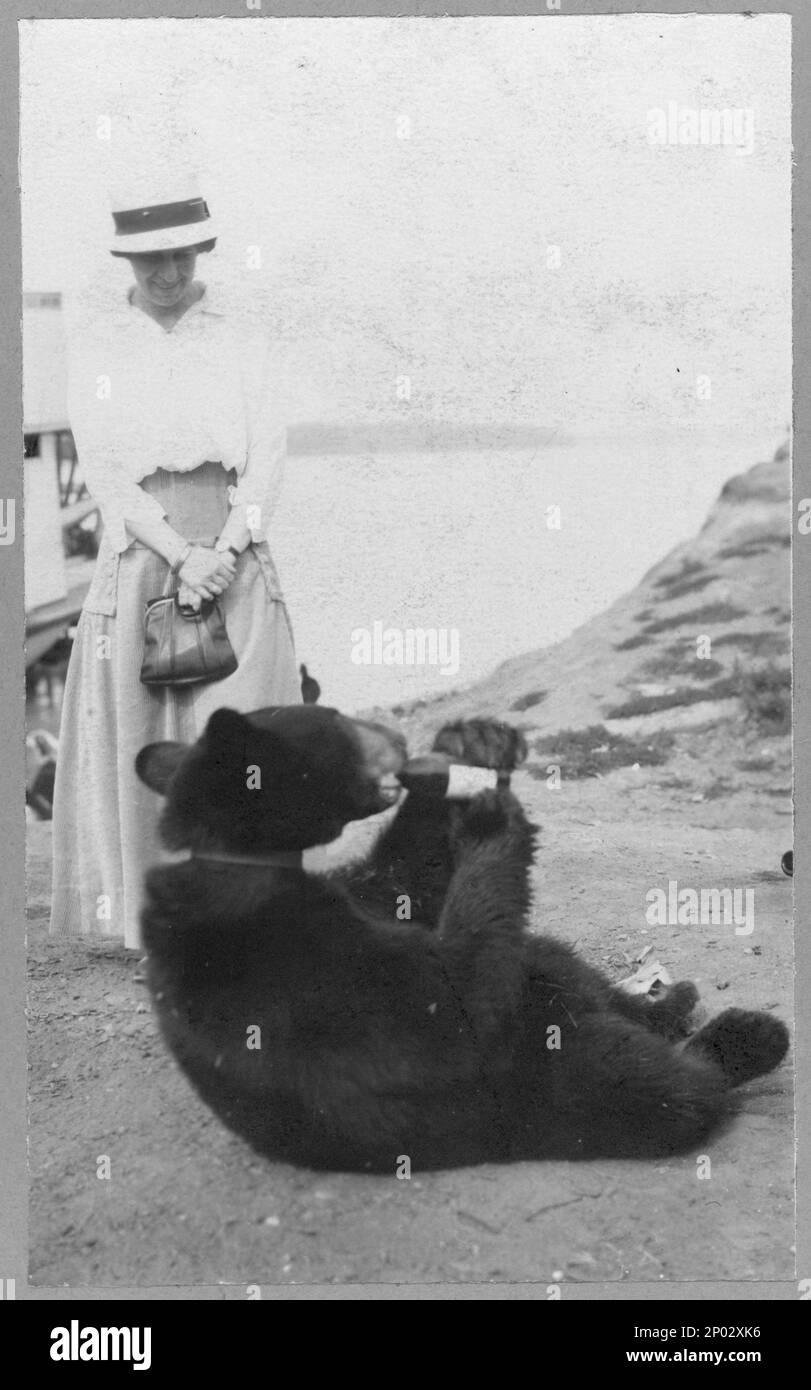Bear drinking from bottle. Frank and Frances Carpenter collection ...