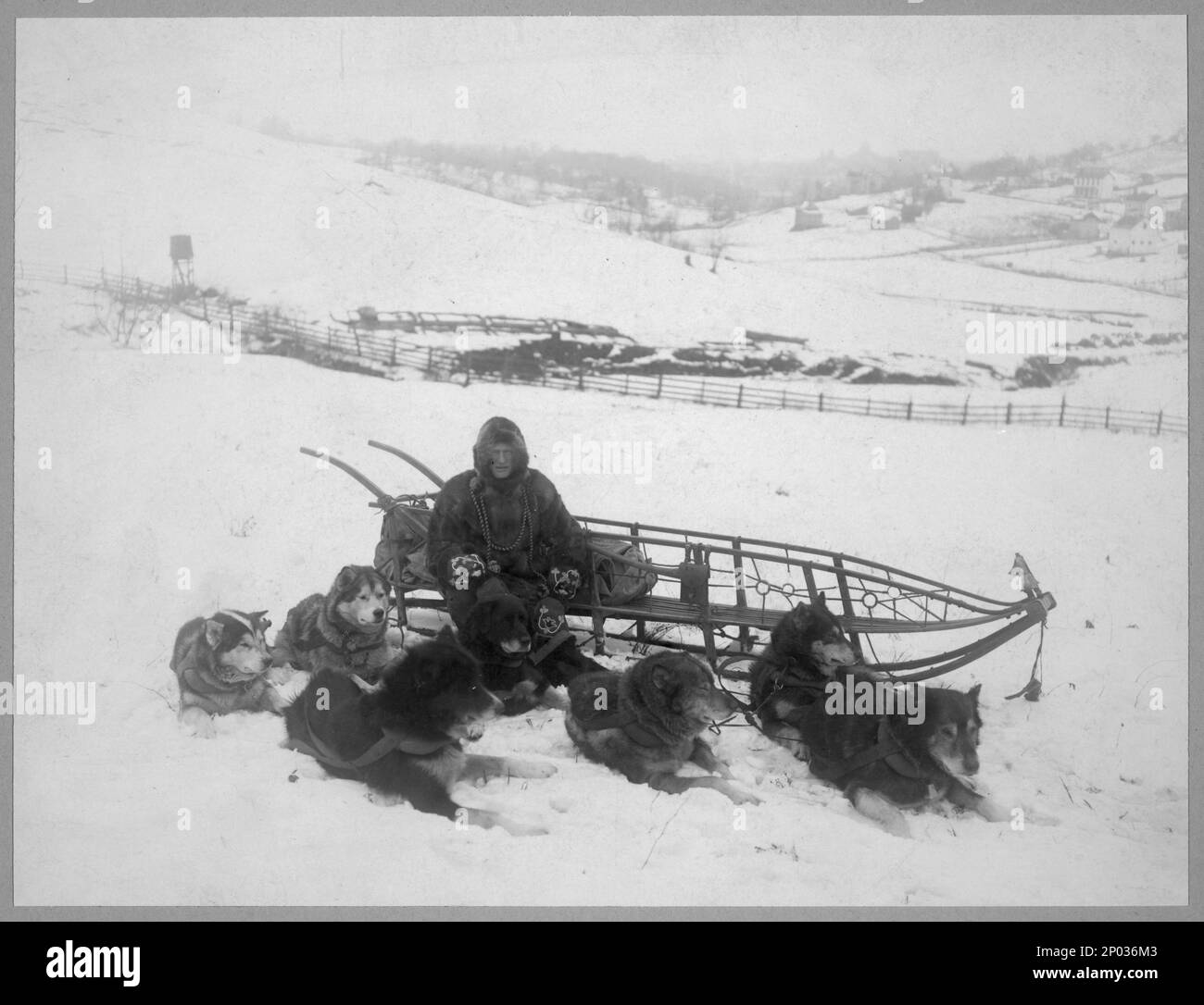 Dog team carrying mail. Frank and Frances Carpenter collection , Gift ...
