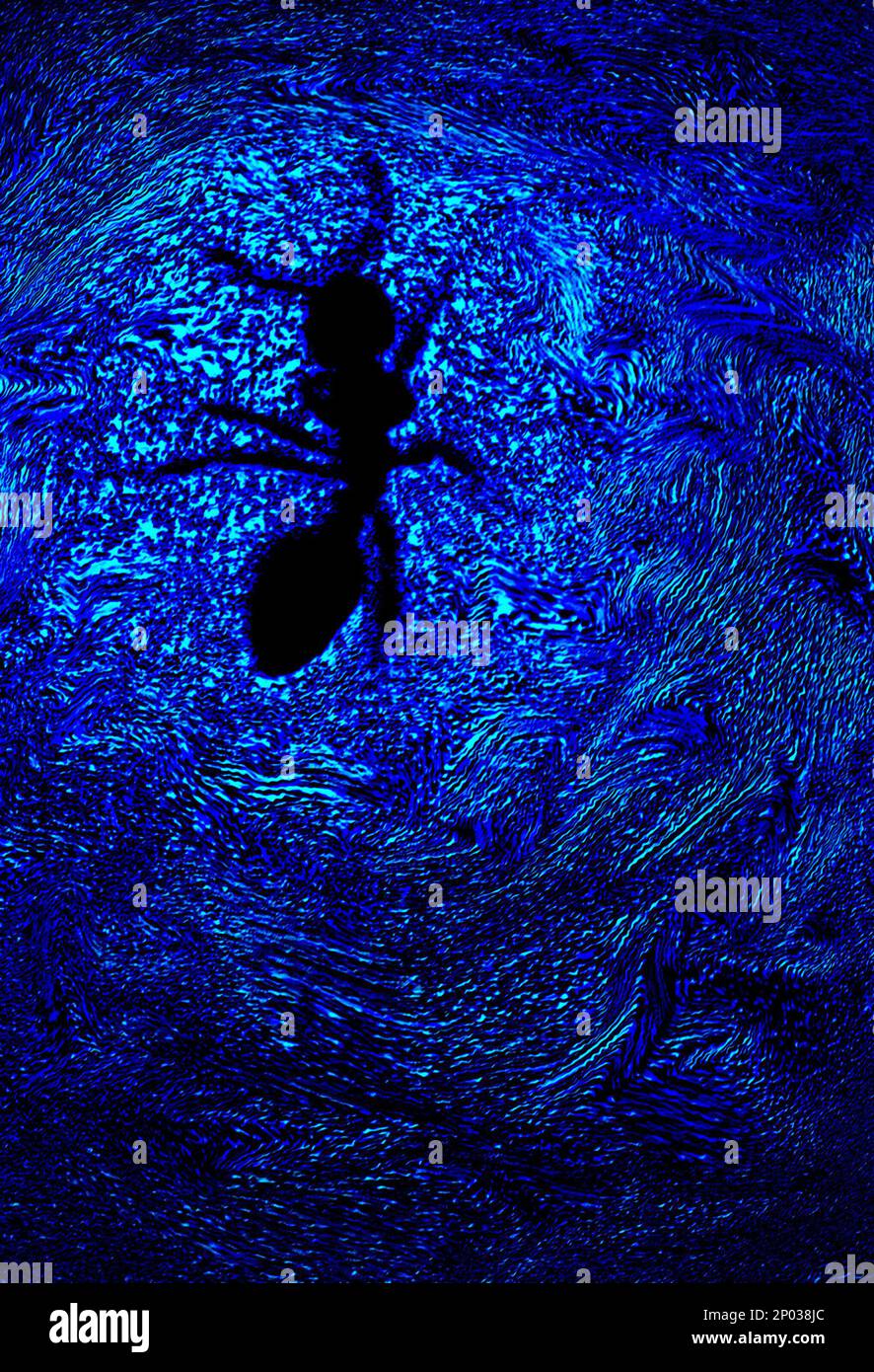 illustration of a drowning ant Stock Photo - Alamy