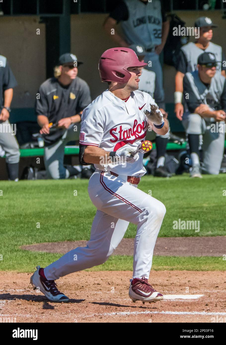 STANFORD, CA - MARCH 28: Stanford Quinn Brodey (24) follows his hit ...