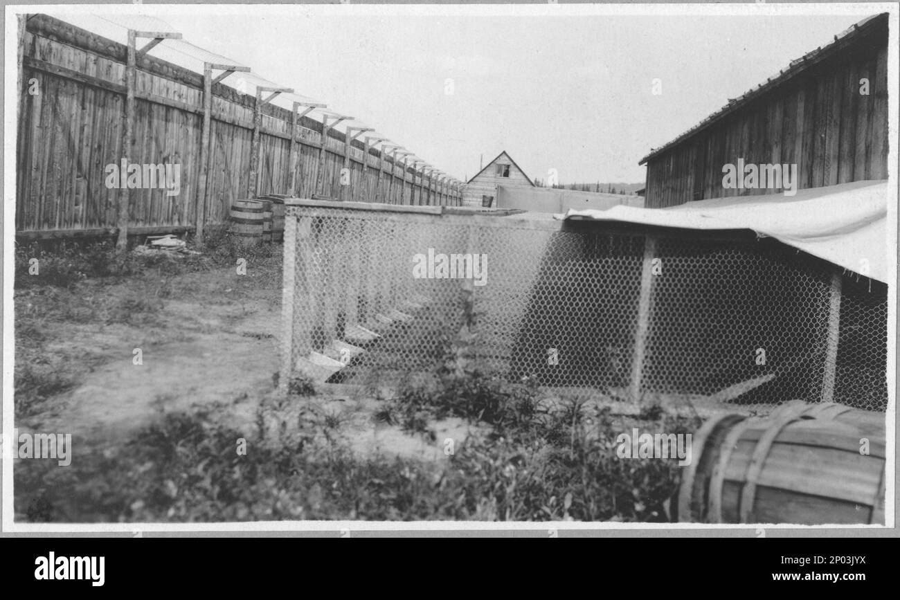 Fox farm. Frank and Frances Carpenter collection , Gift; Mrs. W. Chapin ...