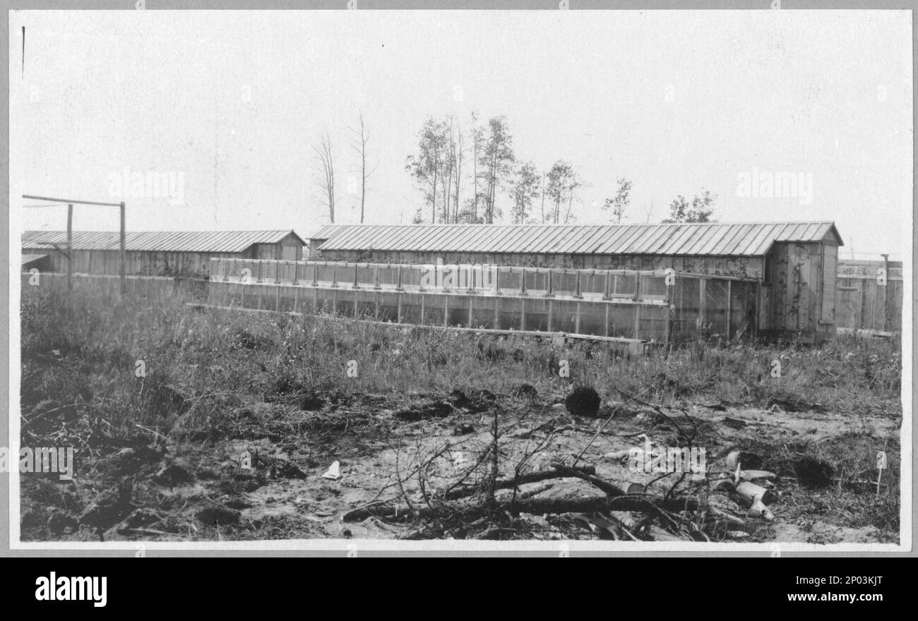 Fox farm. Frank and Frances Carpenter collection , Gift; Mrs. W. Chapin ...