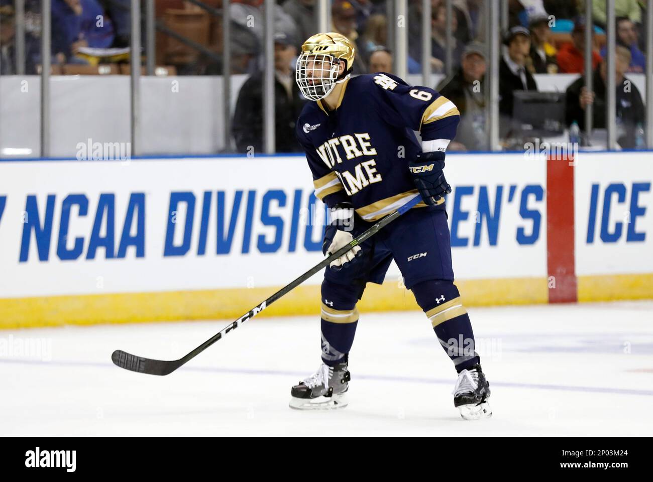 MANCHESTER, NH - MARCH 26: Notre Dame Fighting Irish defenseman Tory ...