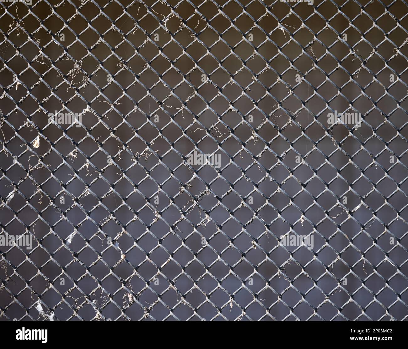 Barricade netting hi-res stock photography and images - Alamy
