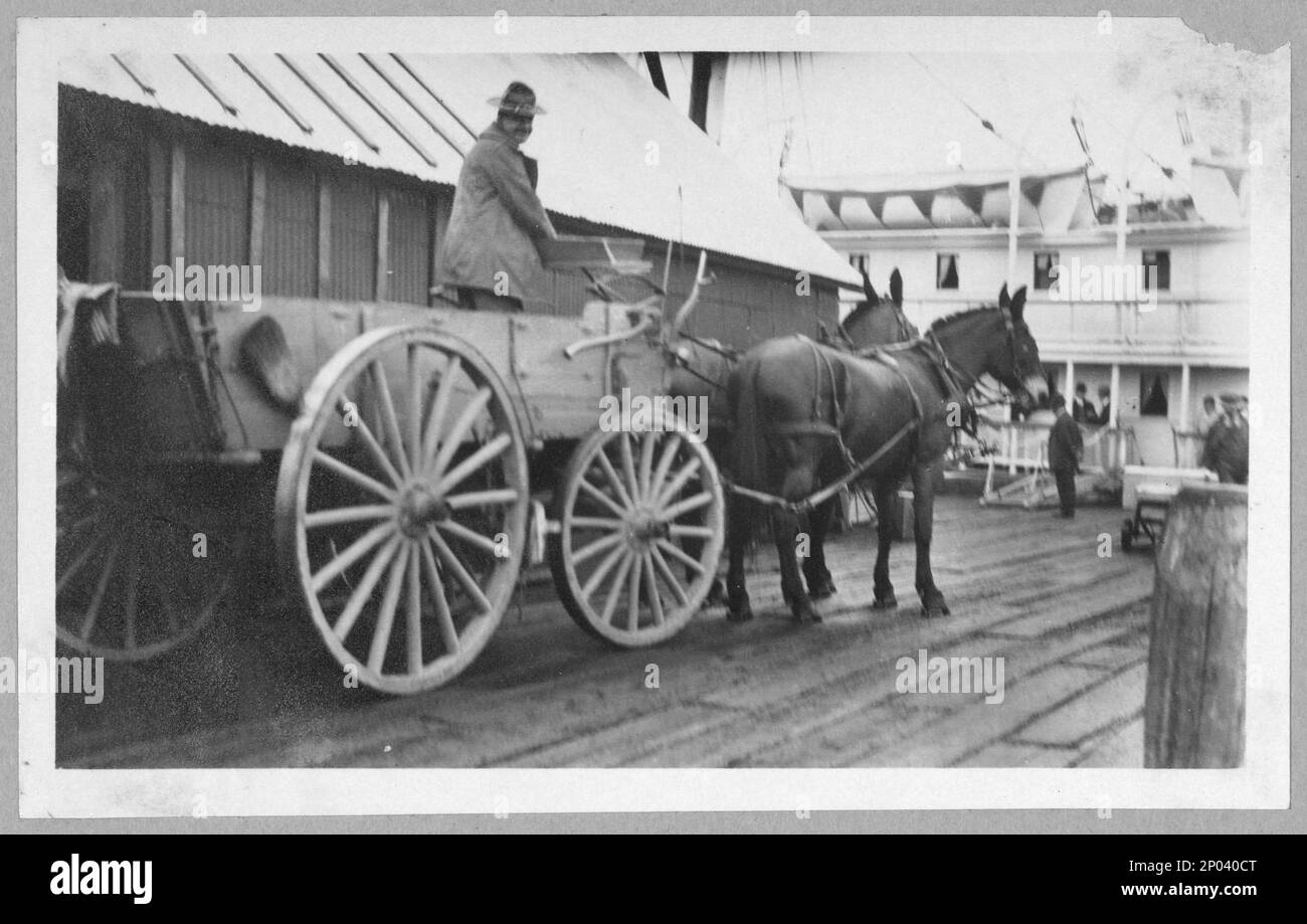 Horse drawn carts wagons hi-res stock photography and images - Alamy